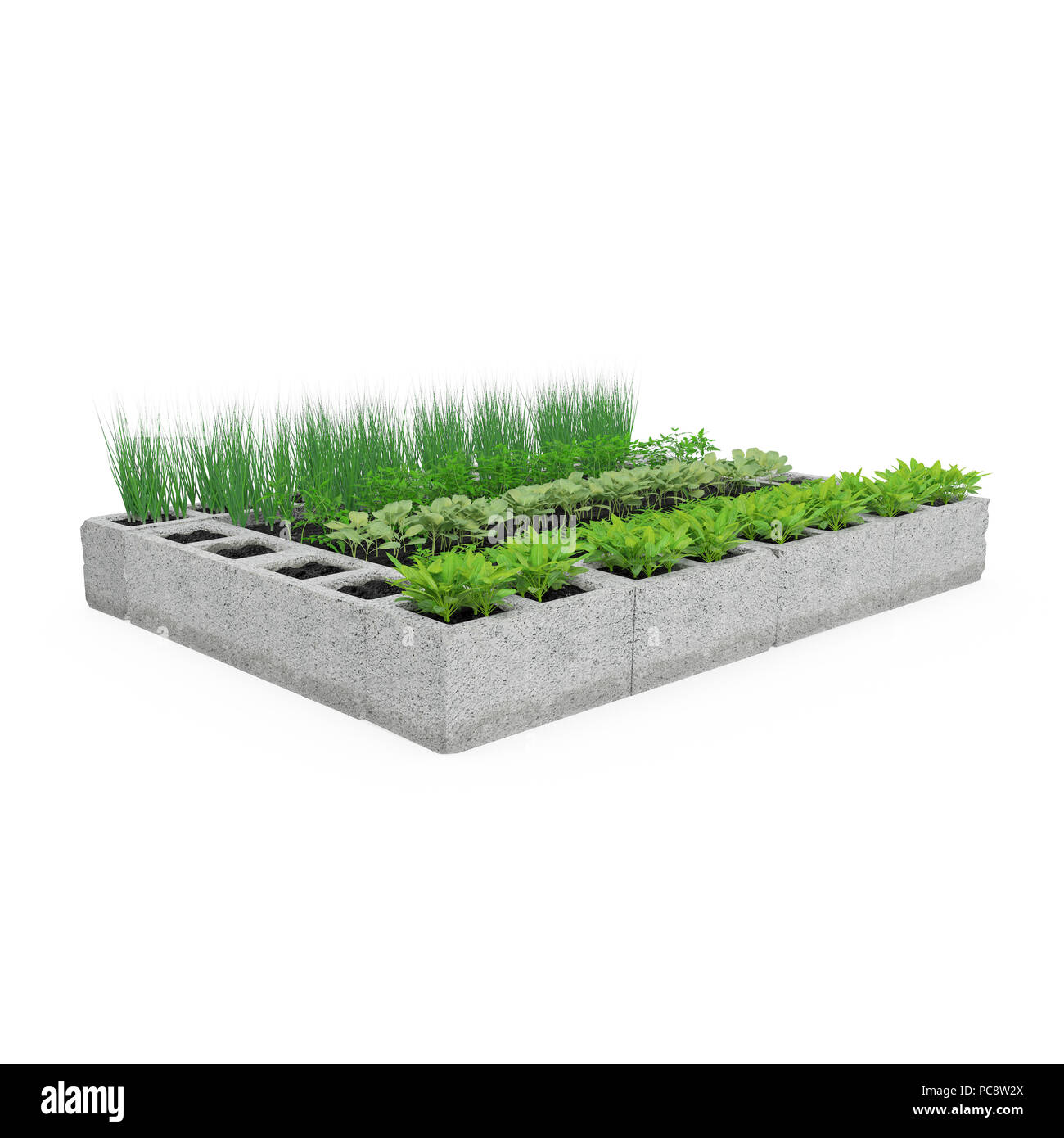 Cinder block garden hi-res stock photography and images - Alamy