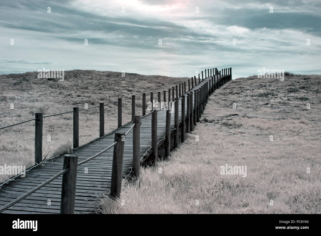 Wide view of an wooden walkway in a seaside dune; infrared Stock Photo ...