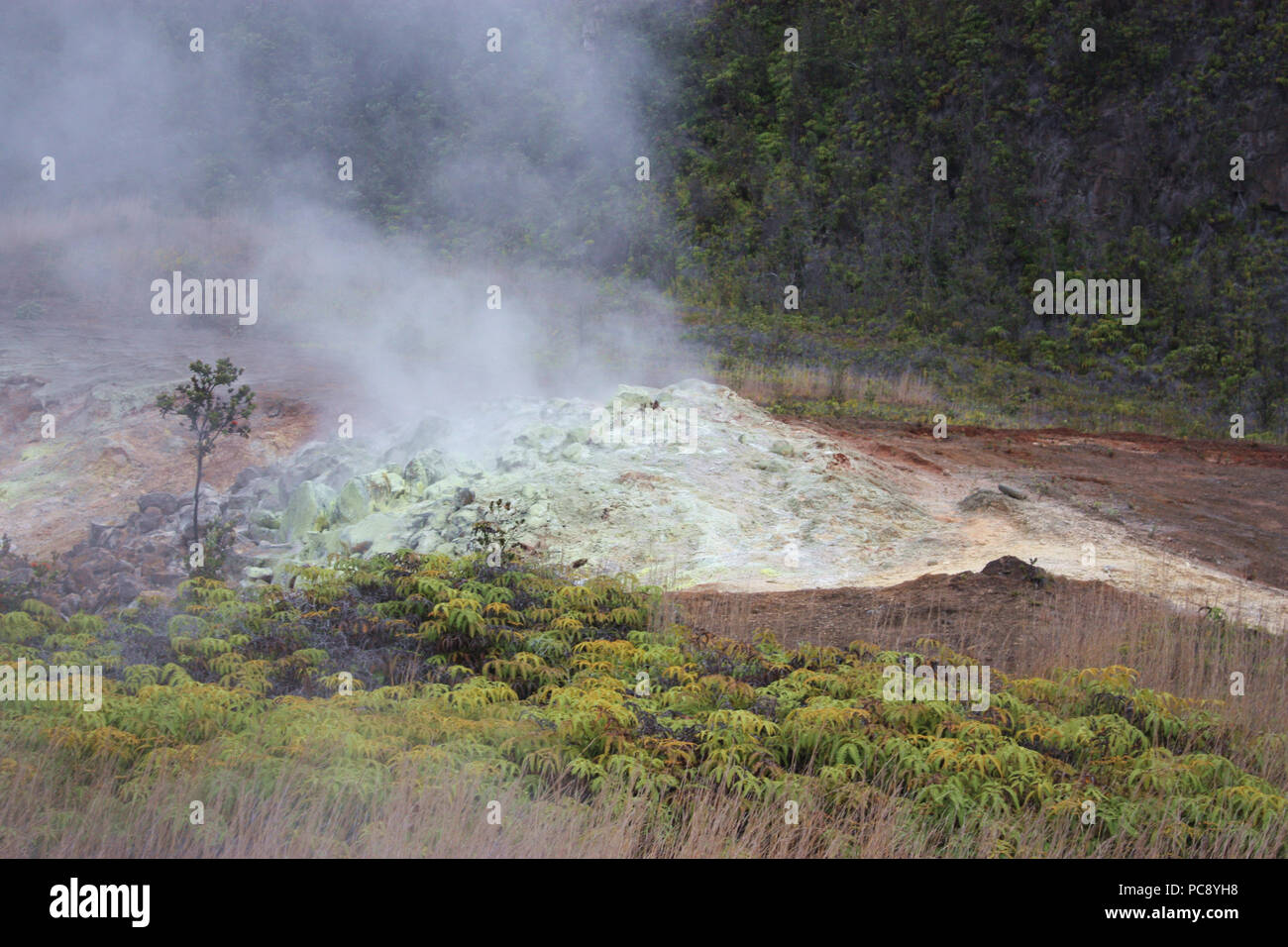 Steam rising through hot volcanic rock at Sulphur Banks in Volcanoes ...