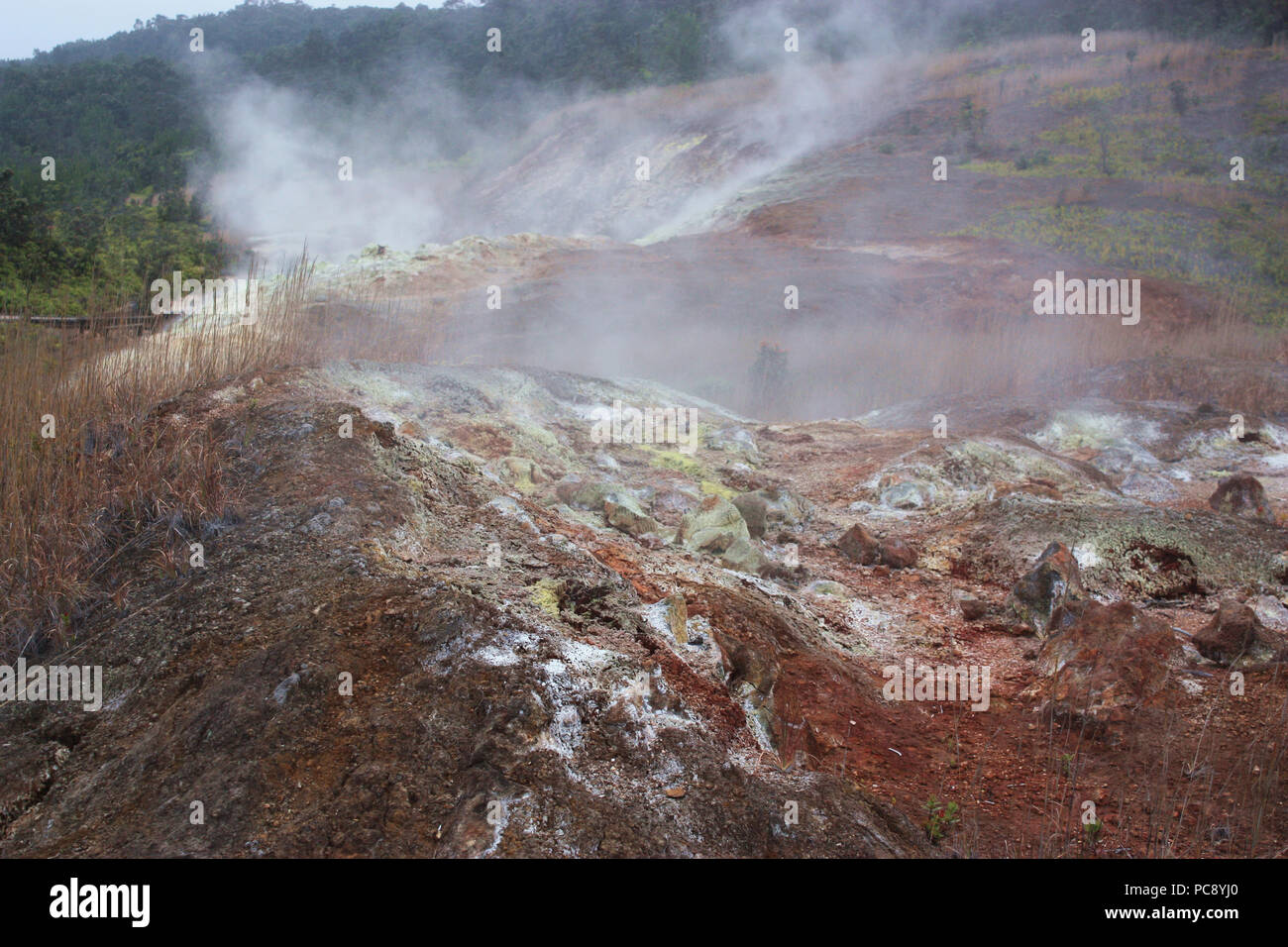 Steam rising through hot volcanic rock at Sulphur Banks in Volcanoes ...