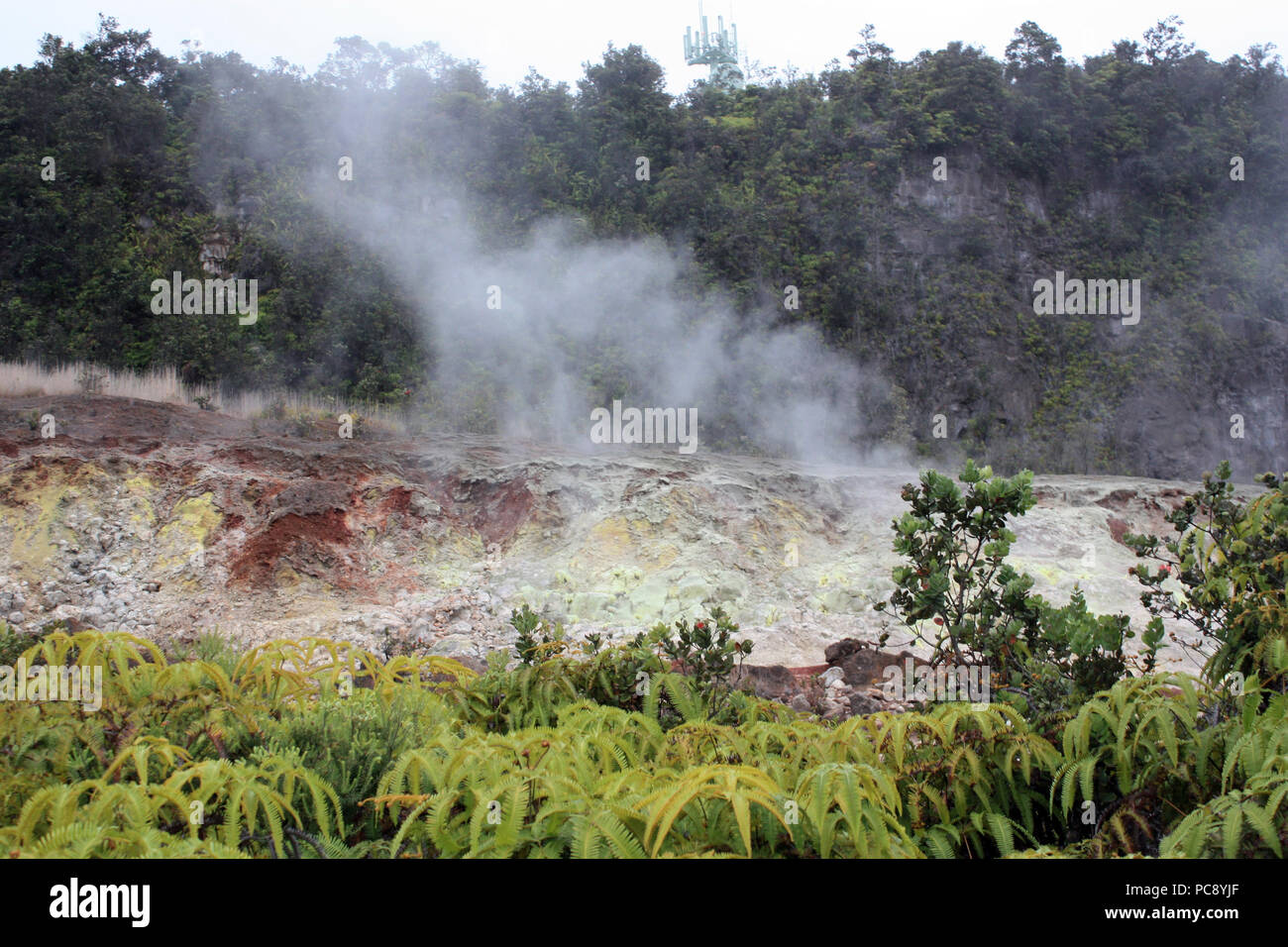 Steam rising through hot volcanic rock at Sulphur Banks in Volcanoes ...