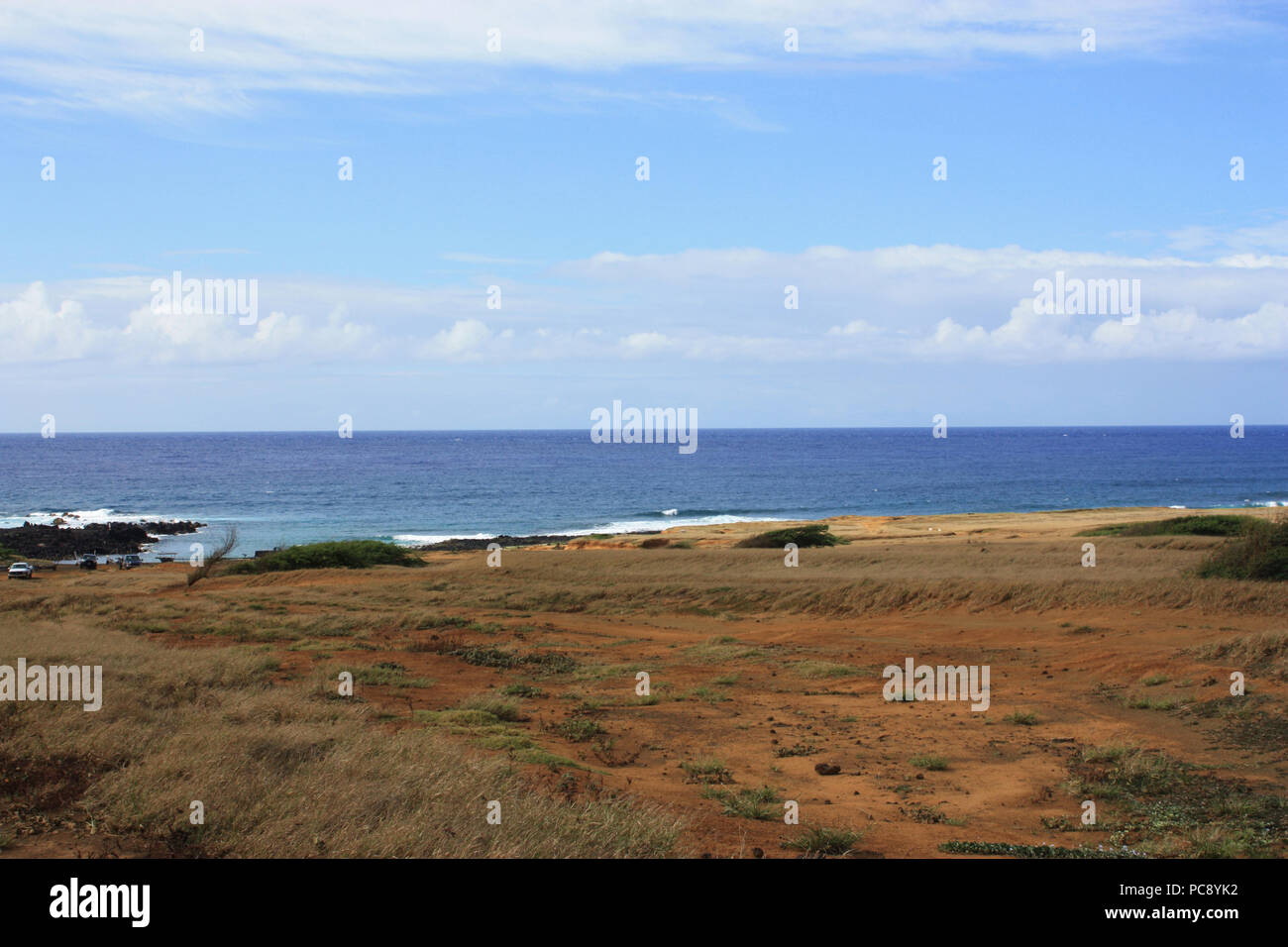 Rust colored sandy soil with small grasses growing alongside the ...