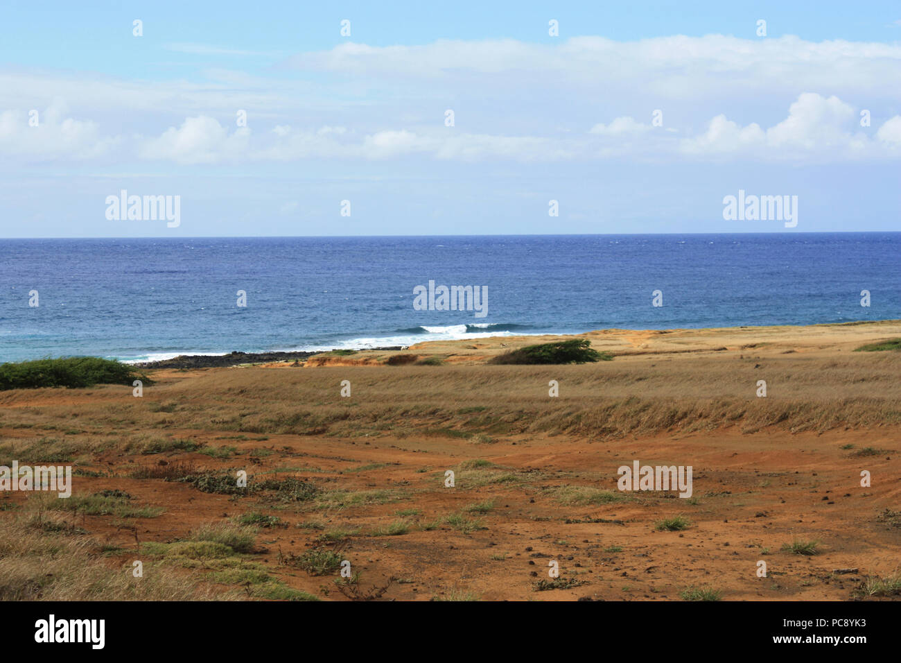 Rust colored sandy soil with small grasses growing alongside the ...