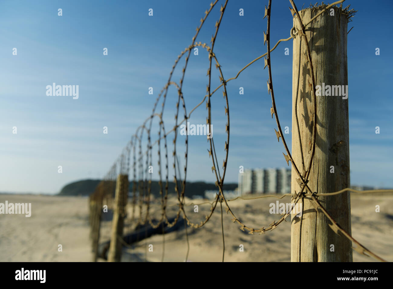 Concentric weathering hi-res stock photography and images - Alamy