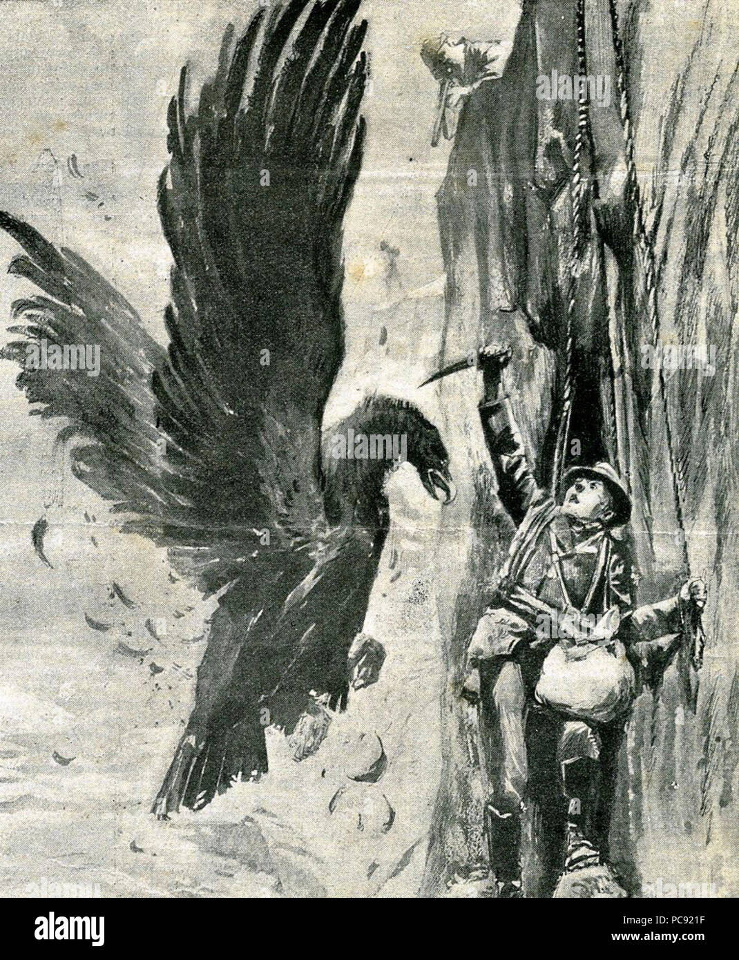 Aiglon hi-res stock photography and images - Alamy