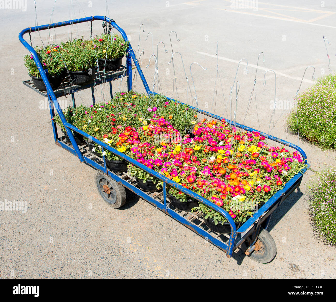 Colorful old cart hi-res stock photography and images - Alamy