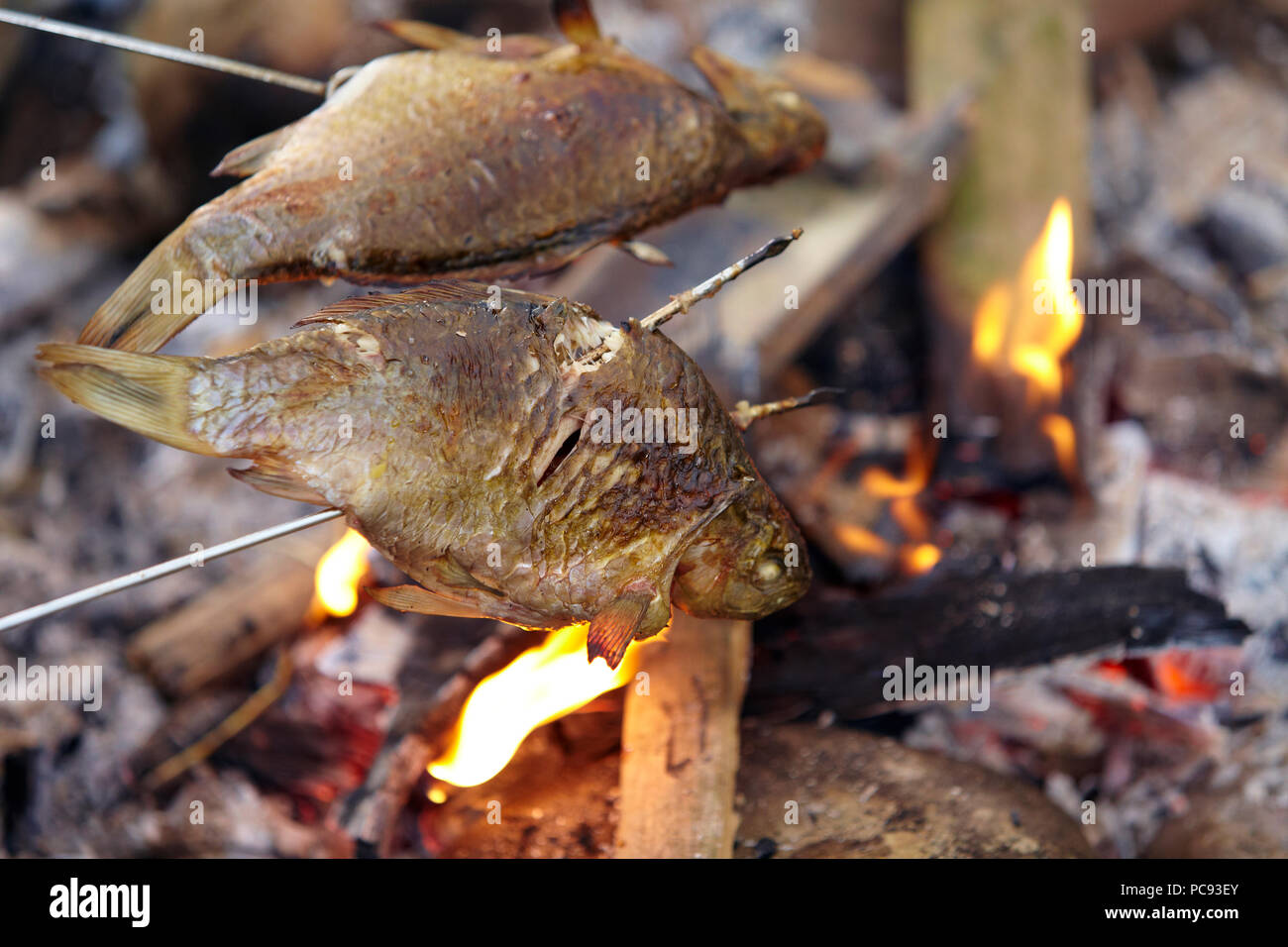 roast fish on fire Stock Photo - Alamy