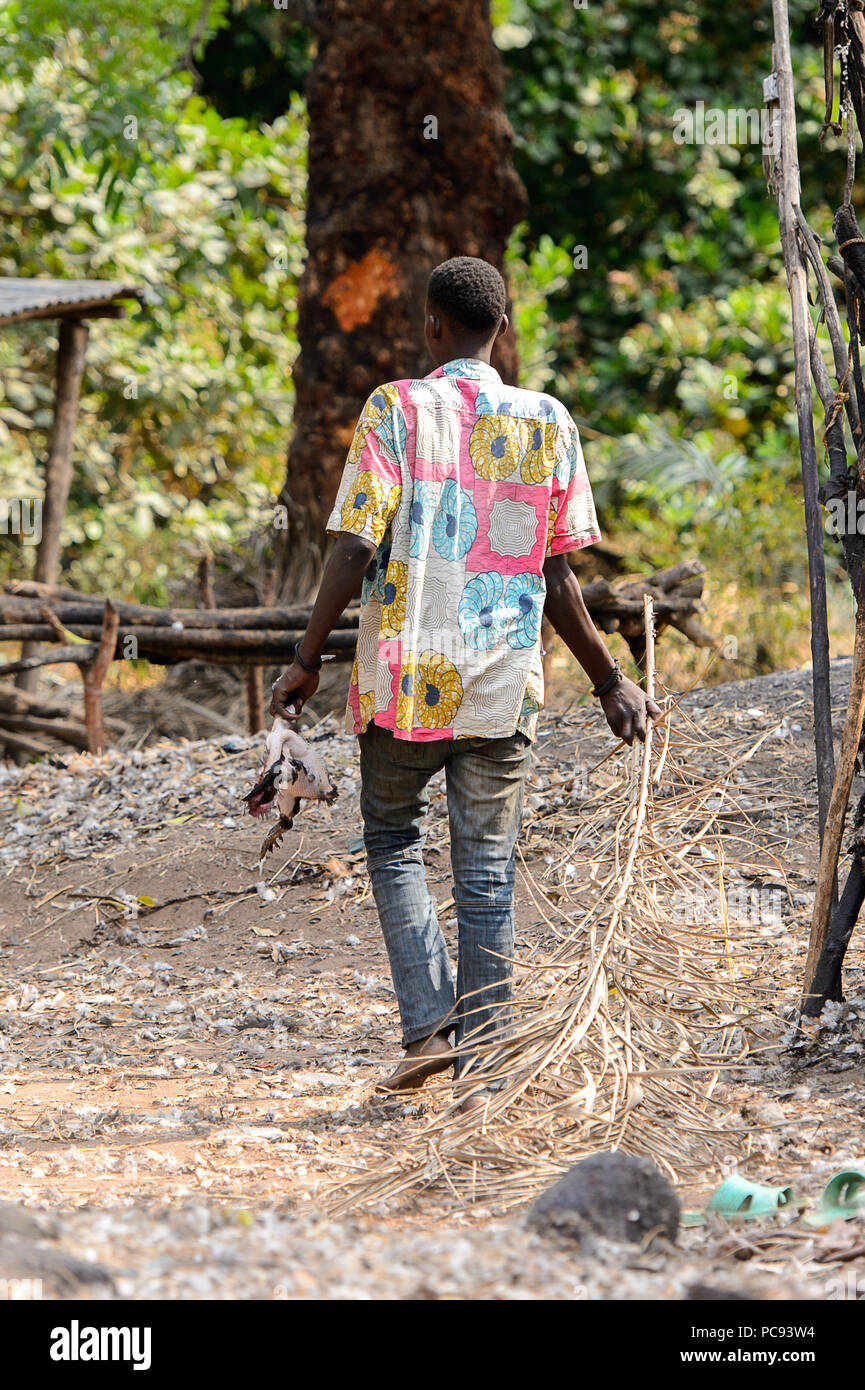 Chicken sacrifice voodoo hi-res stock photography and images - Alamy