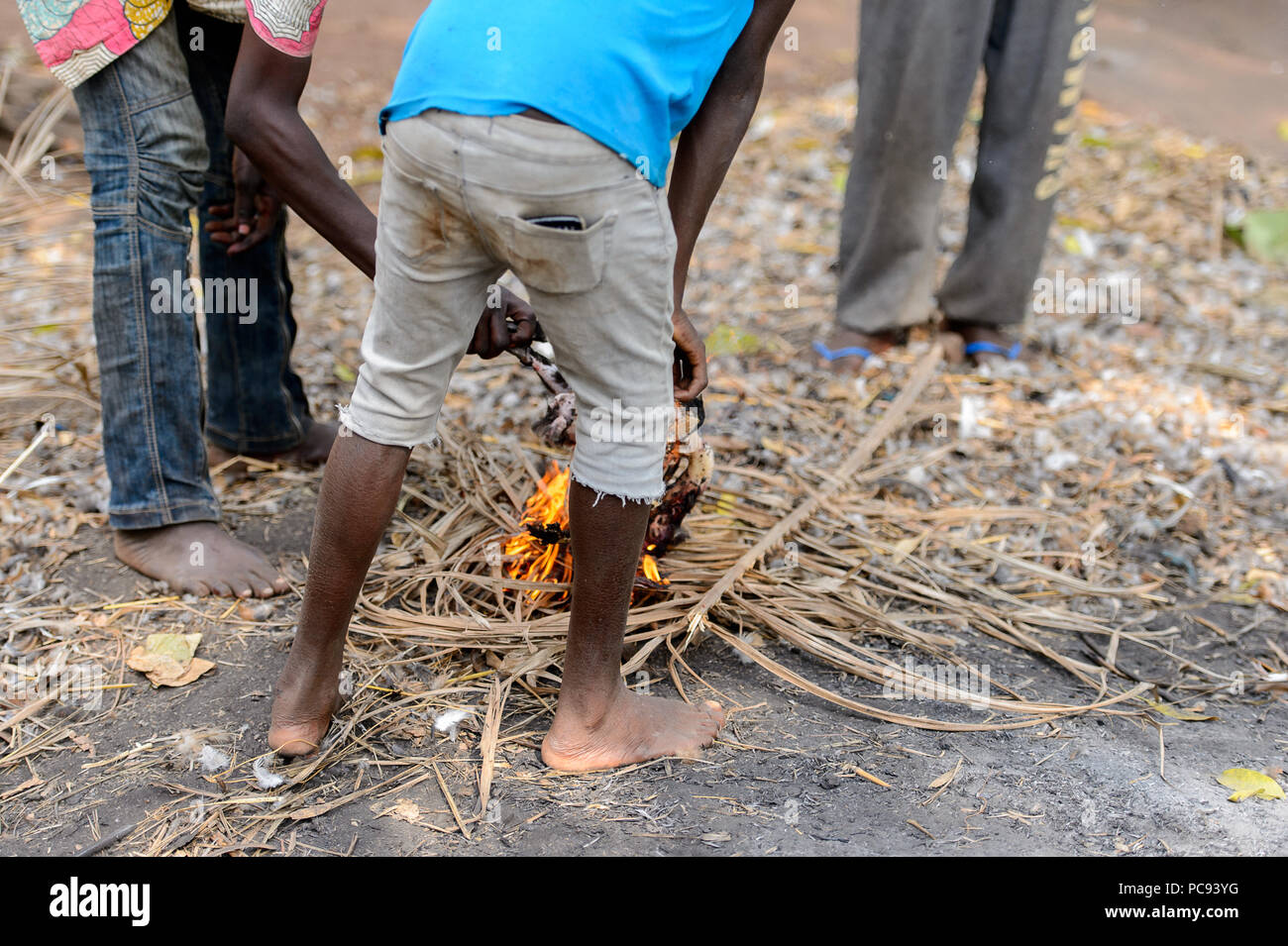 Chicken sacrifice voodoo hi-res stock photography and images - Alamy