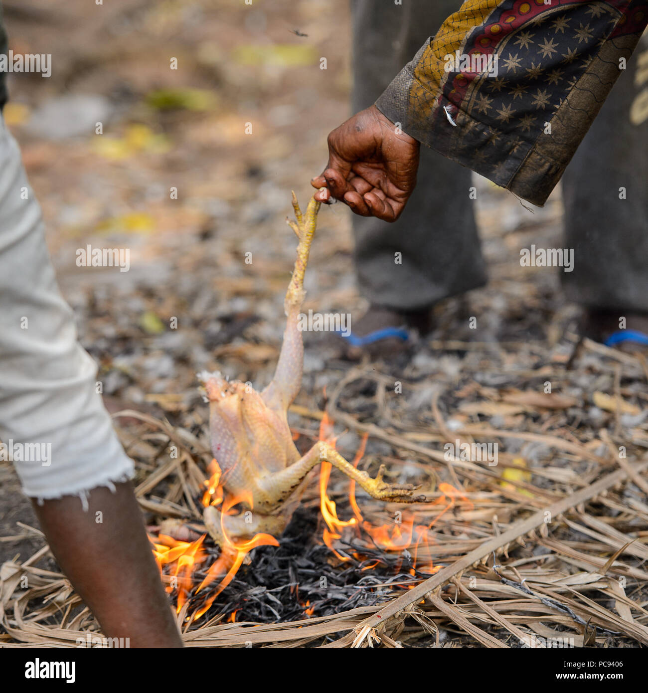DANKOLI, BENIN - JAN 12, 2017: Unidentified Beninese man sacrifices a ...