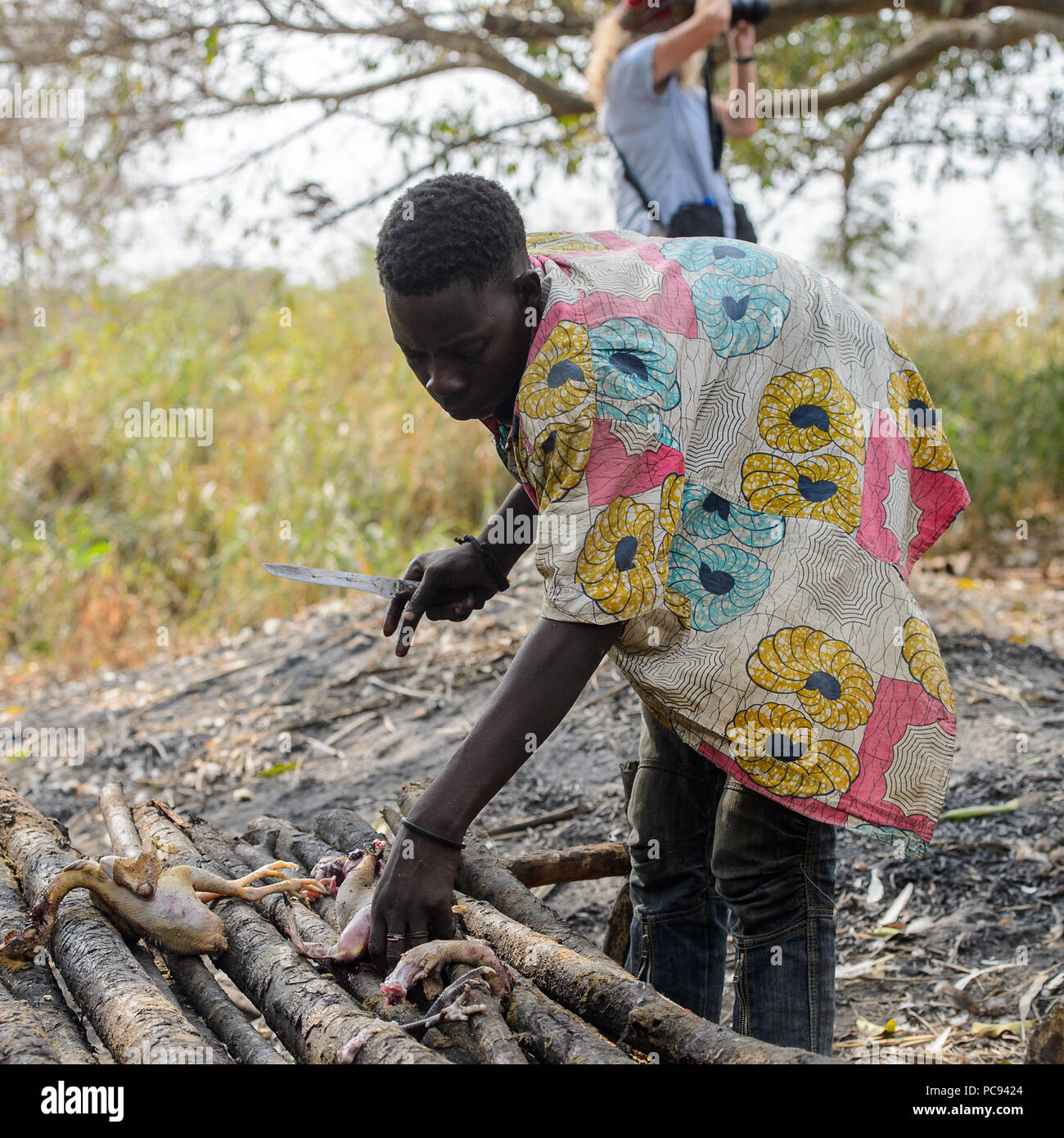 Chicken sacrifice voodoo hi-res stock photography and images - Alamy