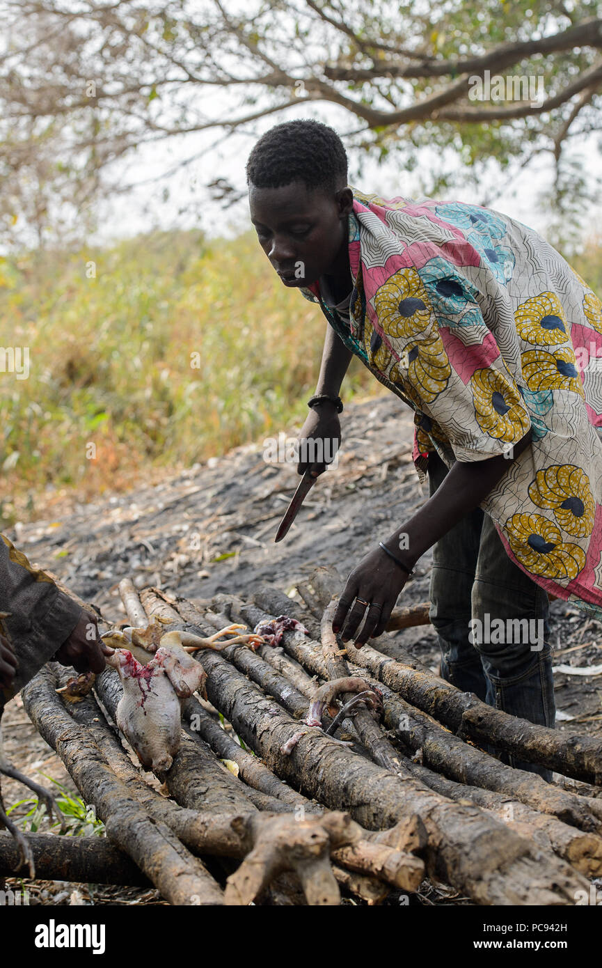 Chicken sacrifice voodoo hi-res stock photography and images - Alamy