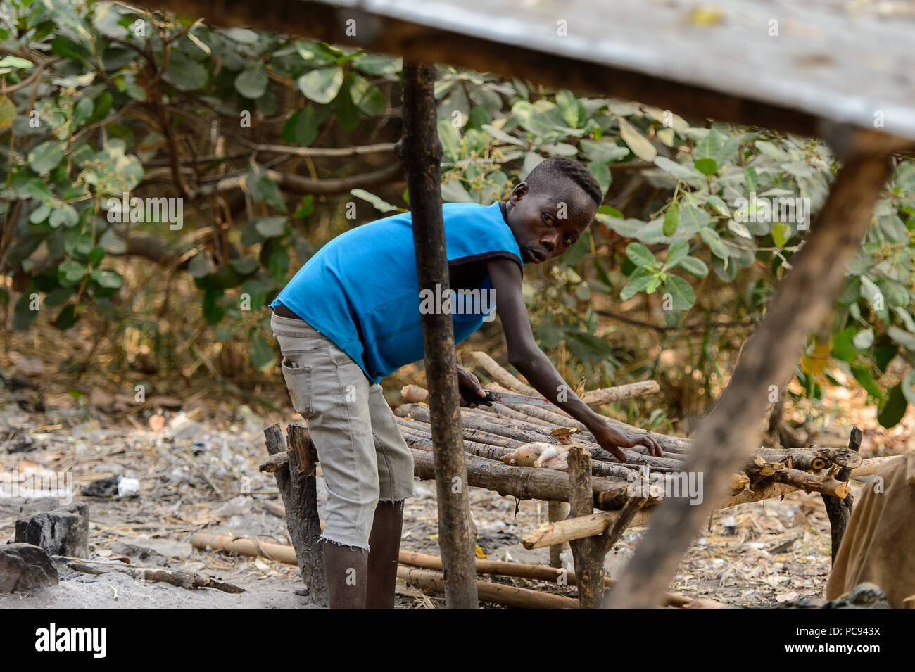 Chicken sacrifice voodoo hi-res stock photography and images - Alamy