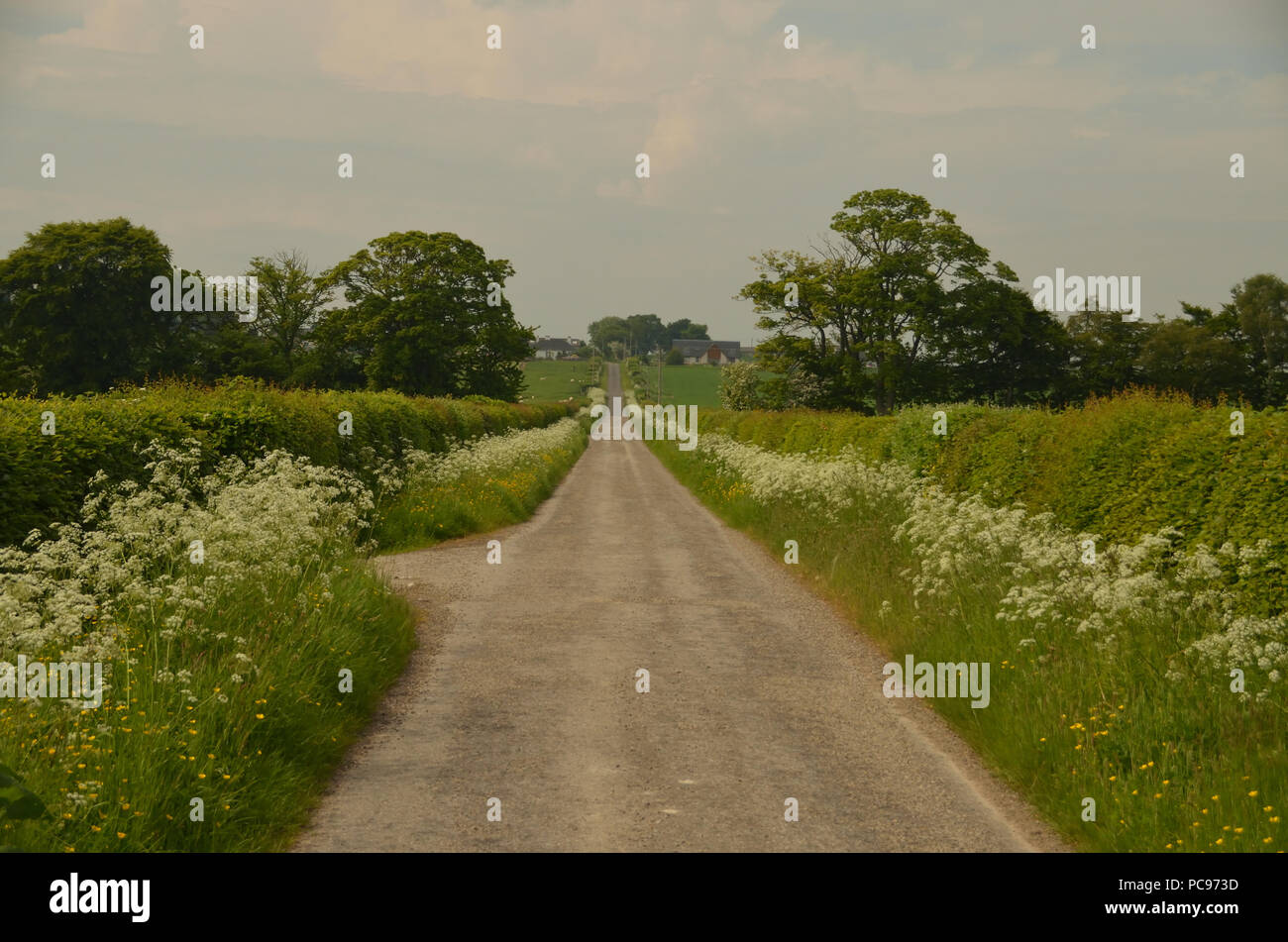 Hill of fearn hi-res stock photography and images - Alamy