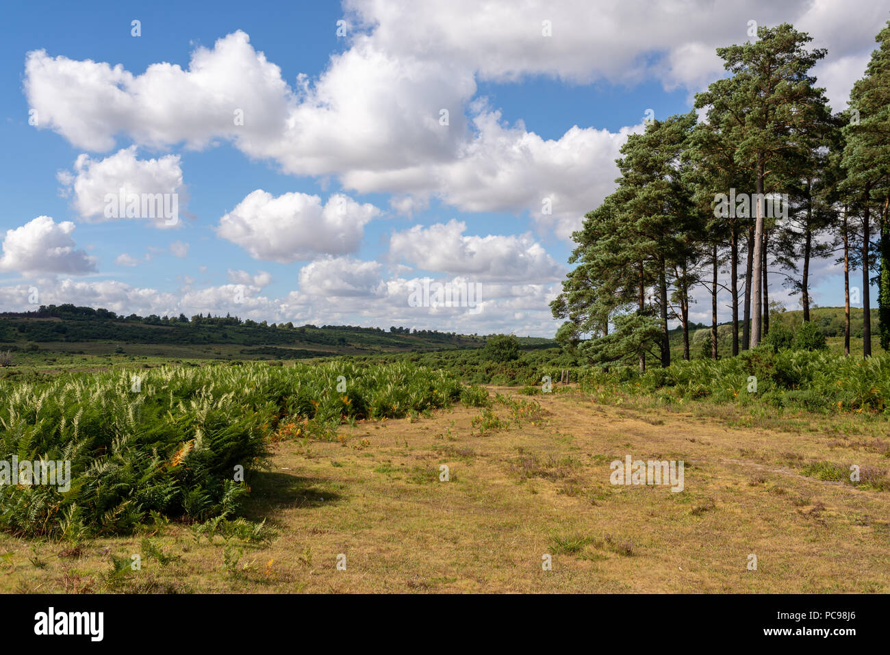White enclosure hi-res stock photography and images - Alamy