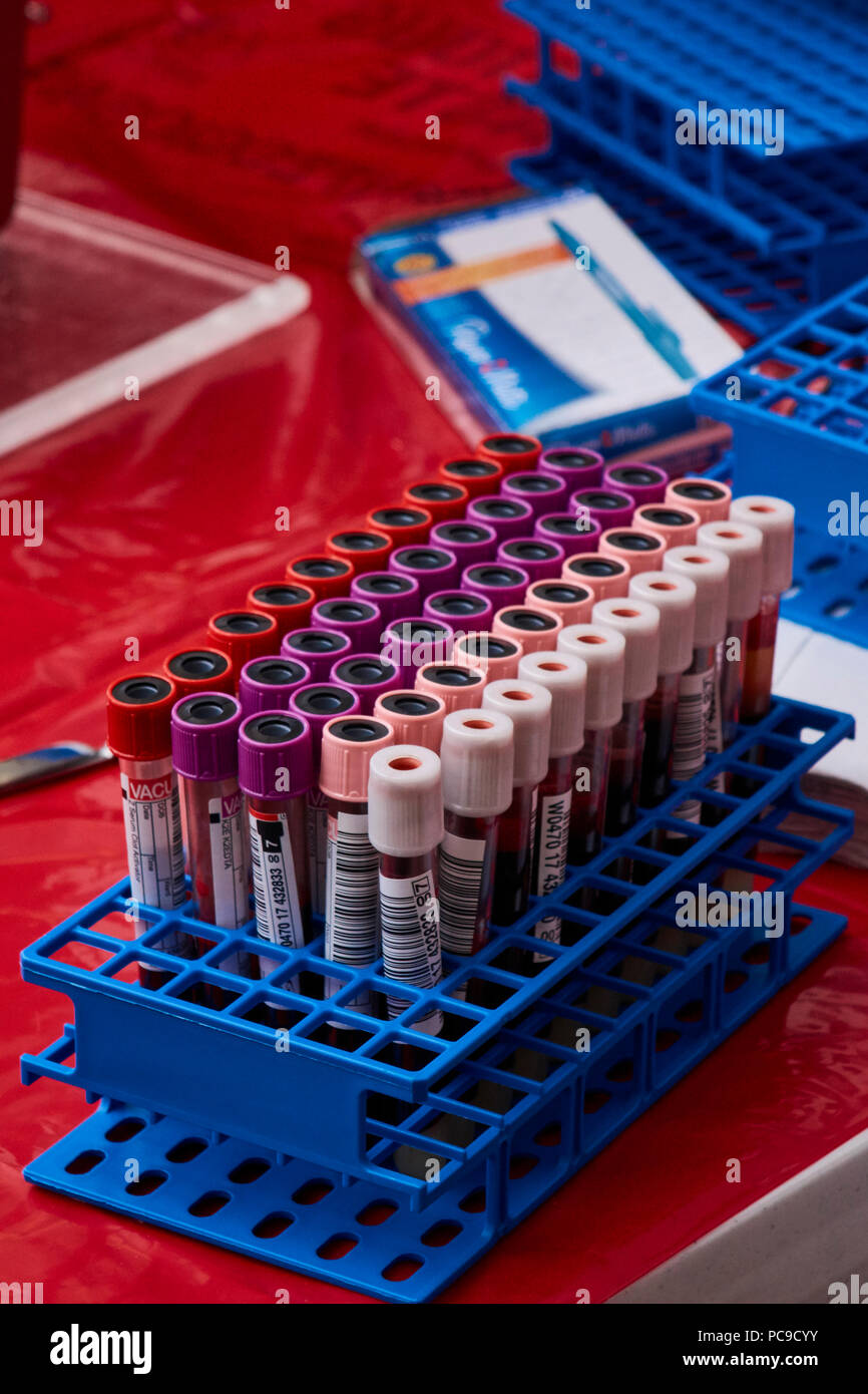 portable blood samples kit for on site donations Stock Photo - Alamy
