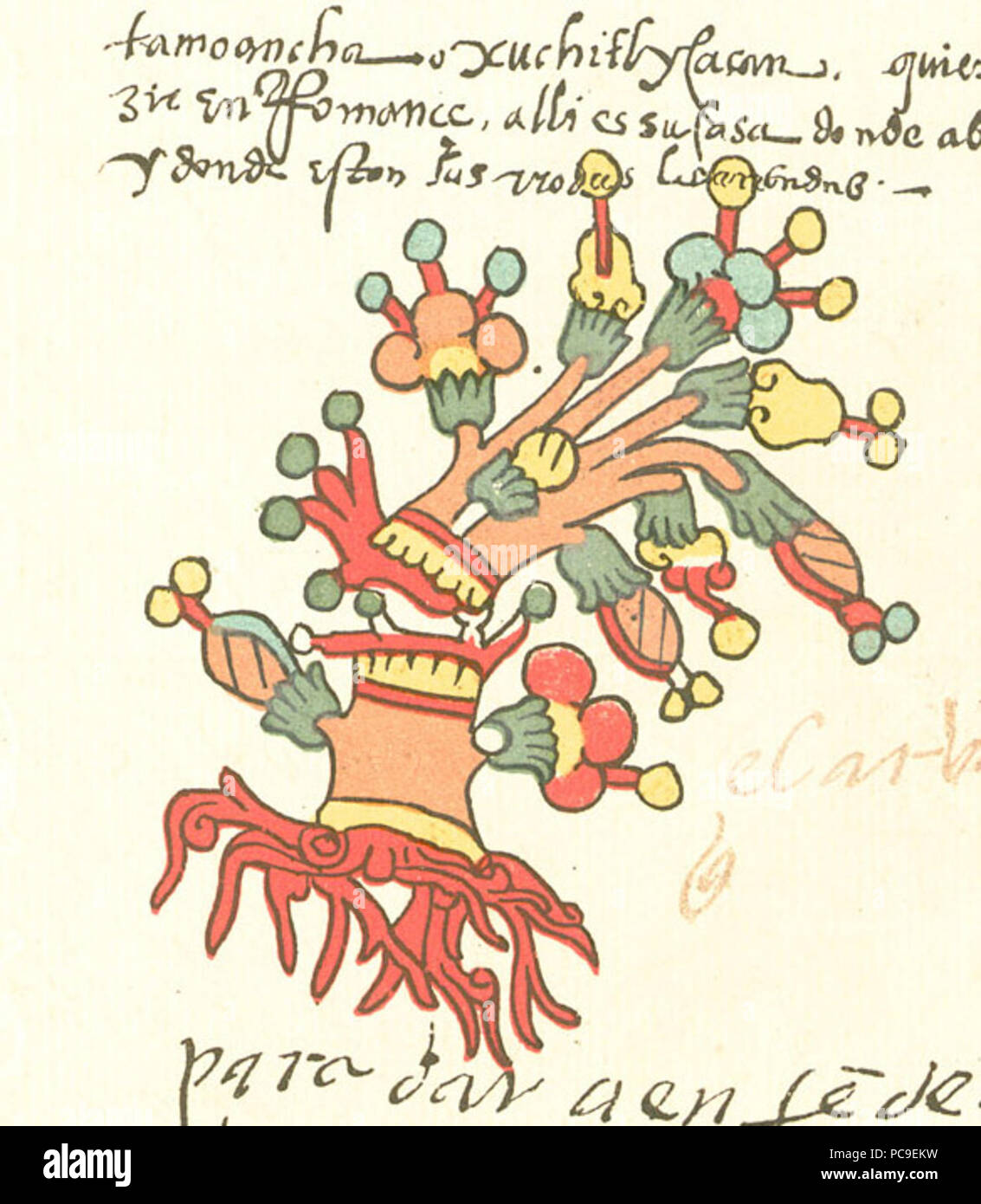 Codex telleriano remensis hi-res stock photography and images - Alamy