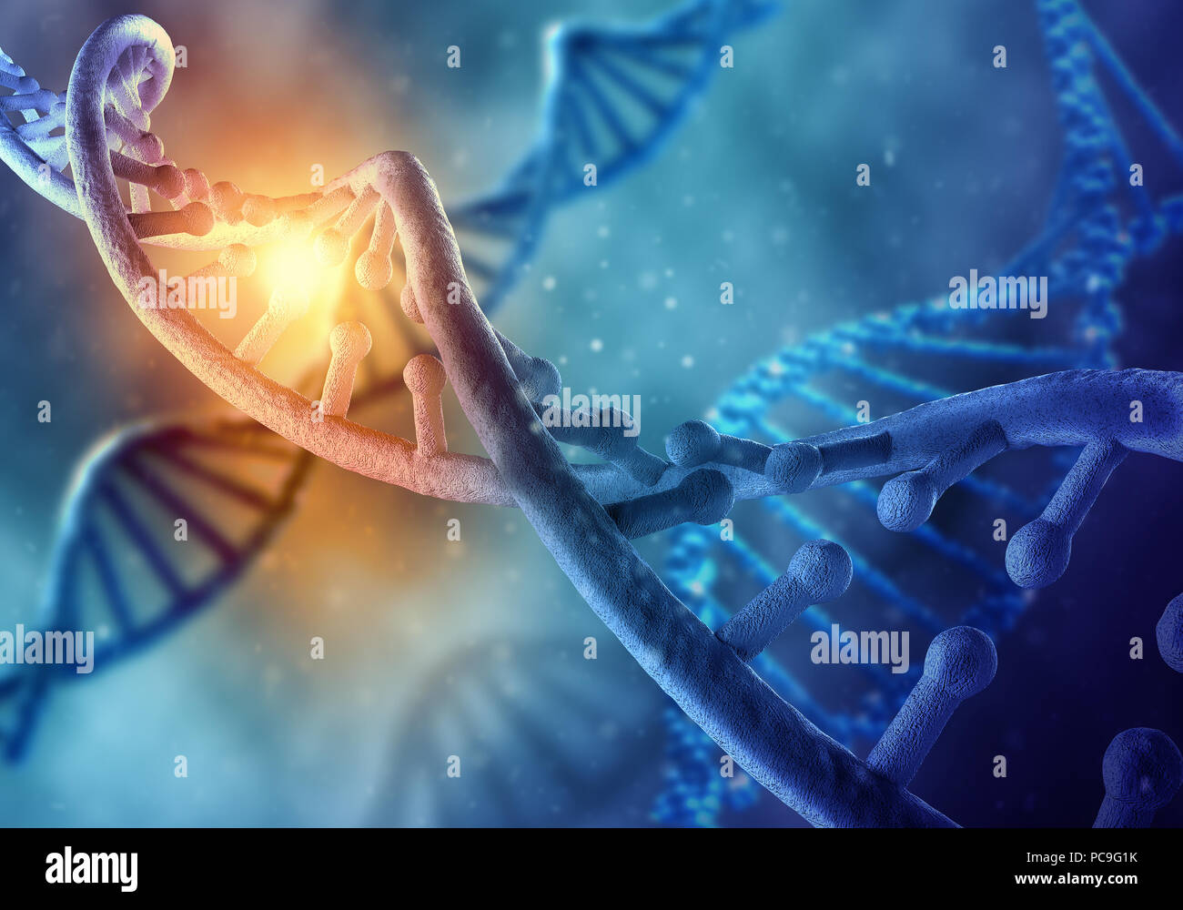 dna,double helix,dna strand Stock Photo - Alamy dna,double helix,dna strand Stock Photo - Alamy