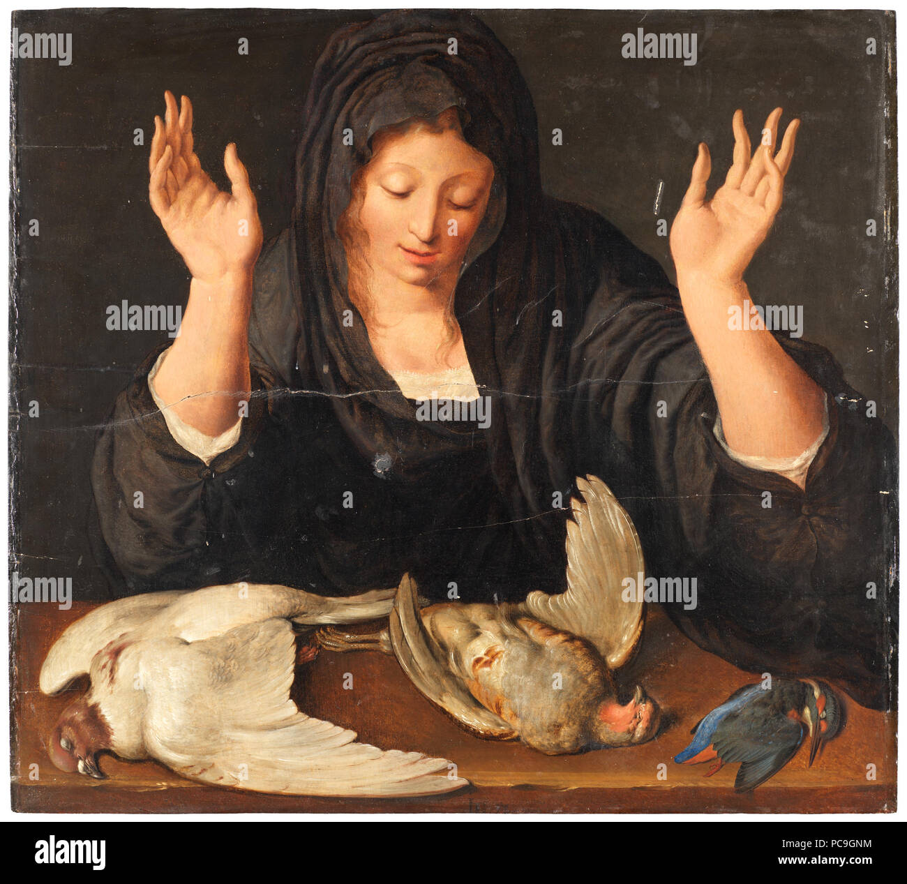 Dead dove hi-res stock photography and images - Alamy