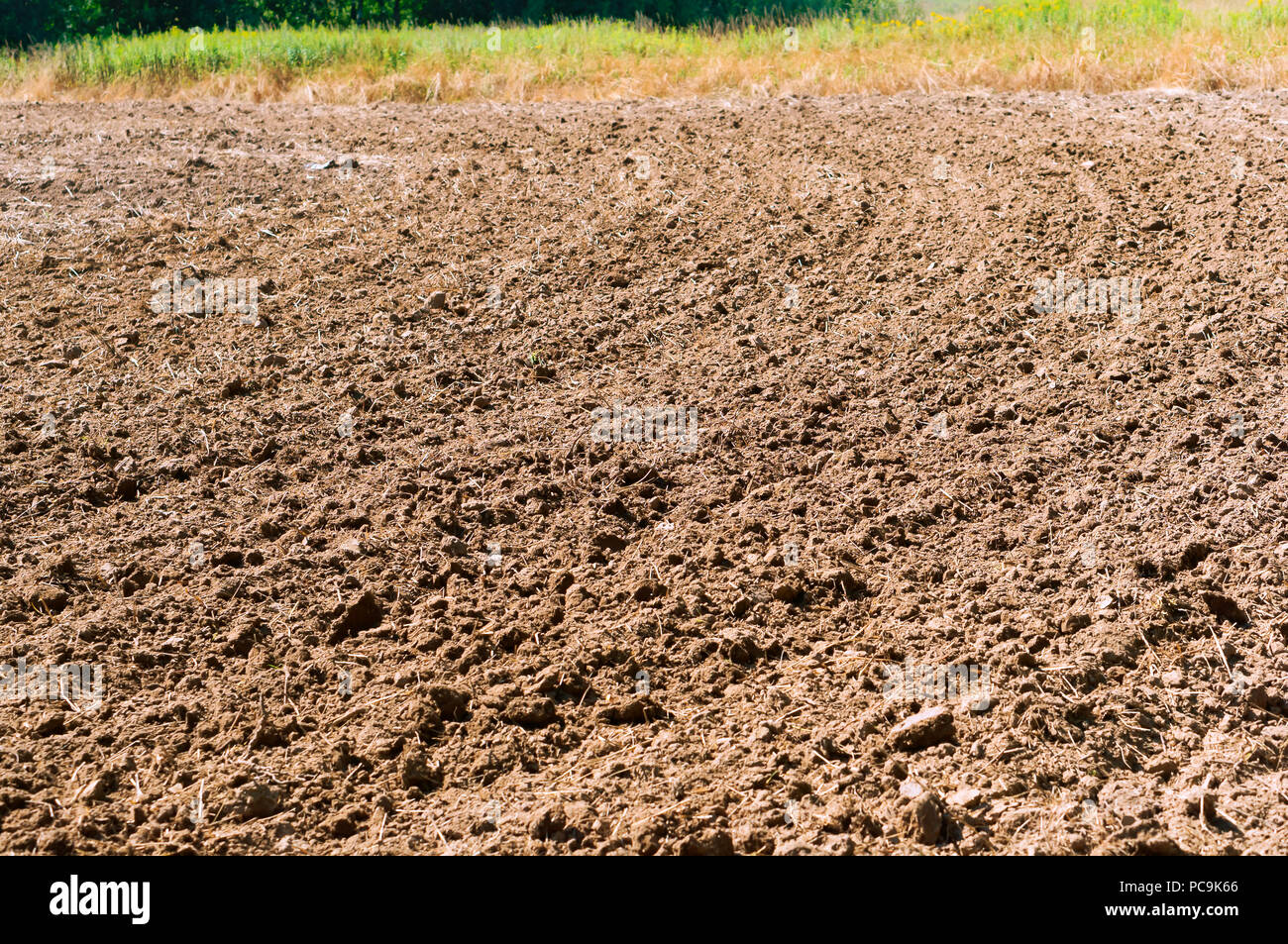 plowed field, agricultural land, land plowed for planting Stock Photo ...