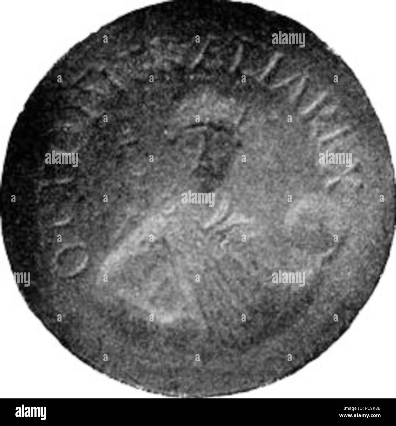 Cisar High Resolution Stock Photography and Images - Alamy