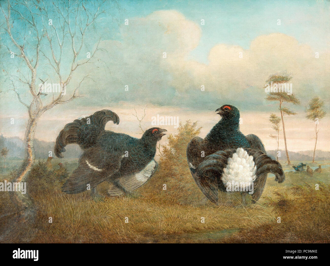 Reinberg High Resolution Stock Photography and Images - Alamy