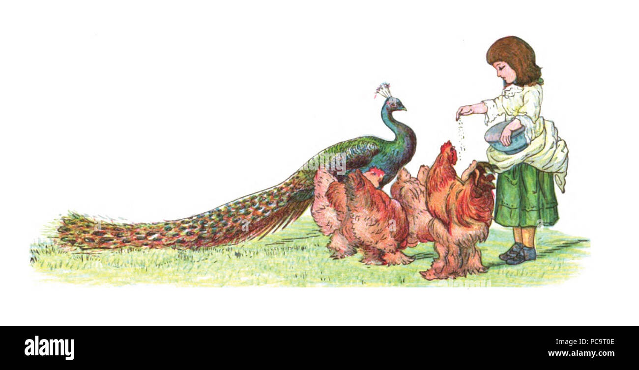 Afternoon Tea 1880 - The Cochin China Chickies Stock Photo - Alamy