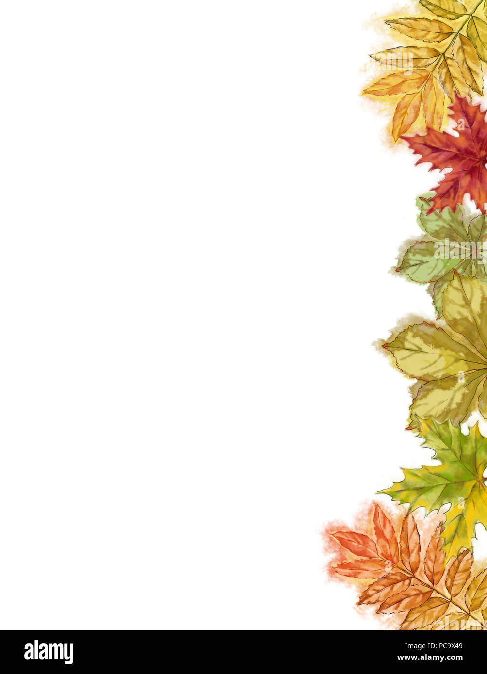 Autumn Leaves Side Decorated Template with Text Copy Space on White ...