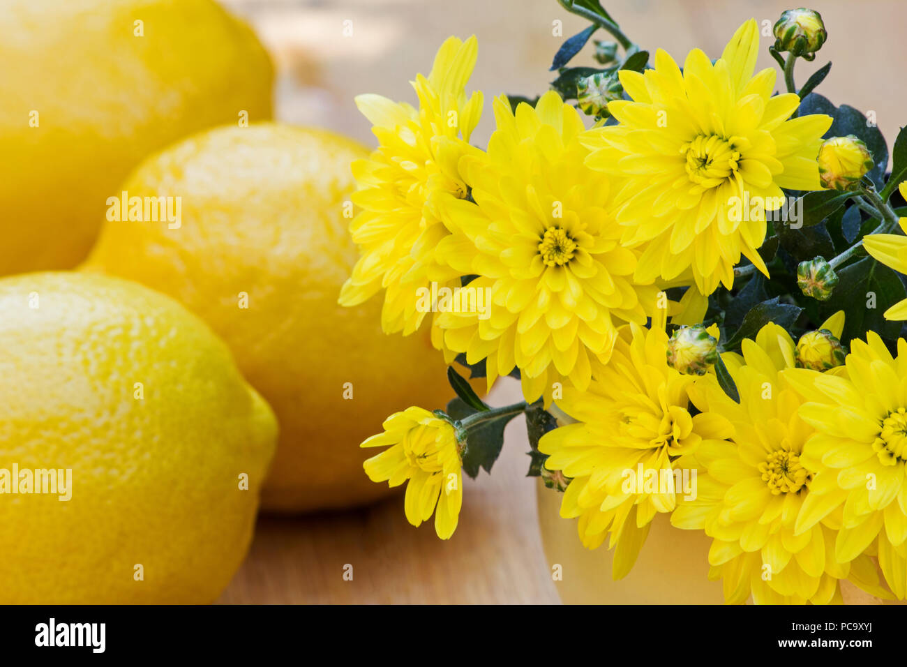 Siracusa lemons hi-res stock photography and images - Alamy