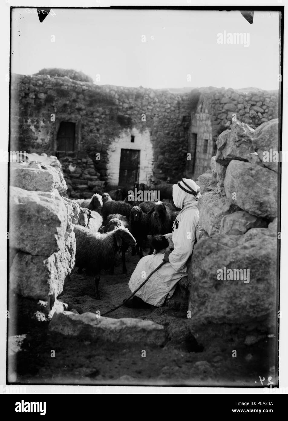 Agriculture, etc. Shepherd scenes. Village sheep-cote at Sharafat (i.e ...