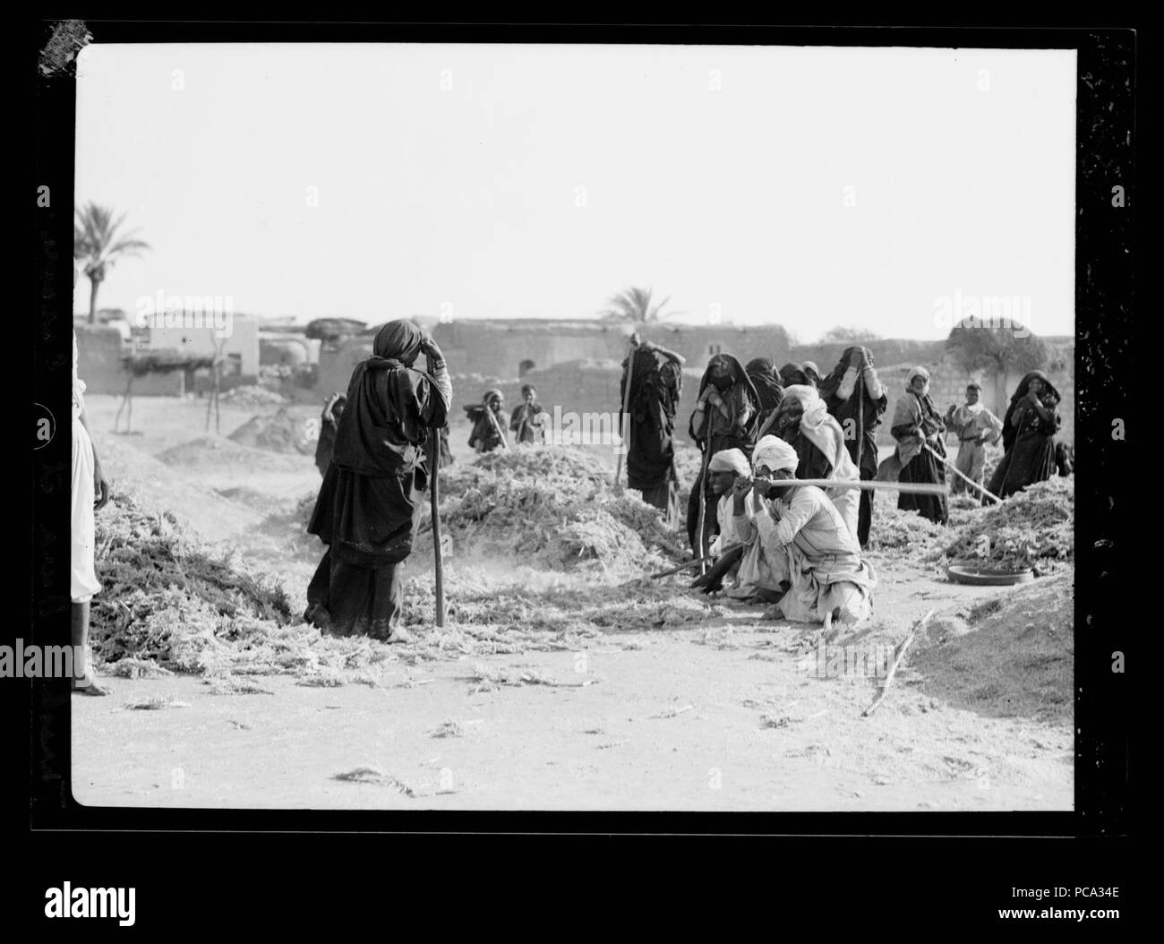 Threshing millet Black and White Stock Photos & Images - Alamy