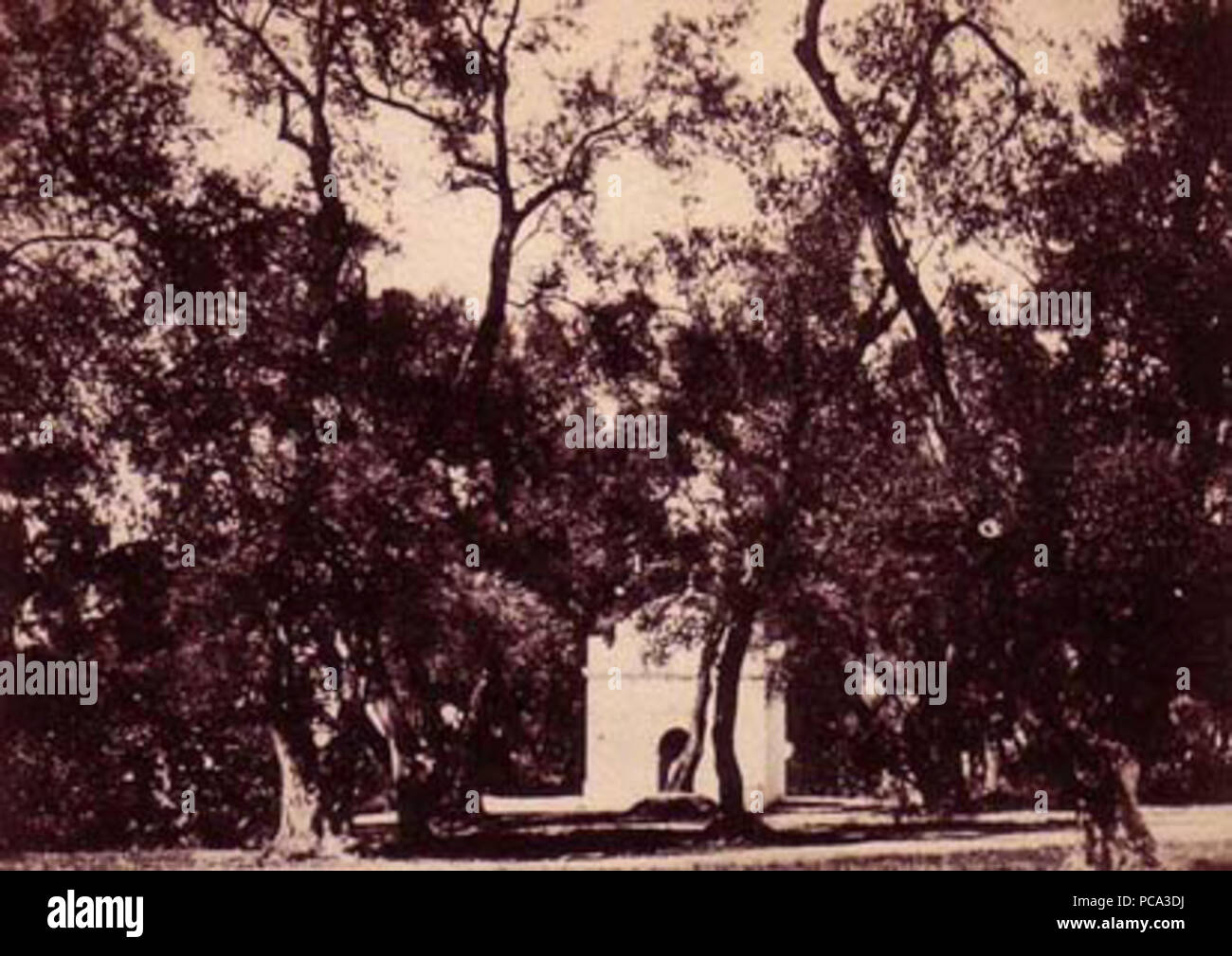 Blida hi-res stock photography and images - Alamy