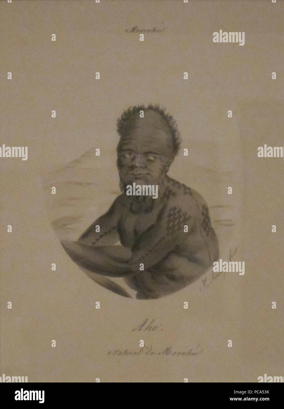 Aho, native of Maui by Jacques Arago Stock Photo - Alamy