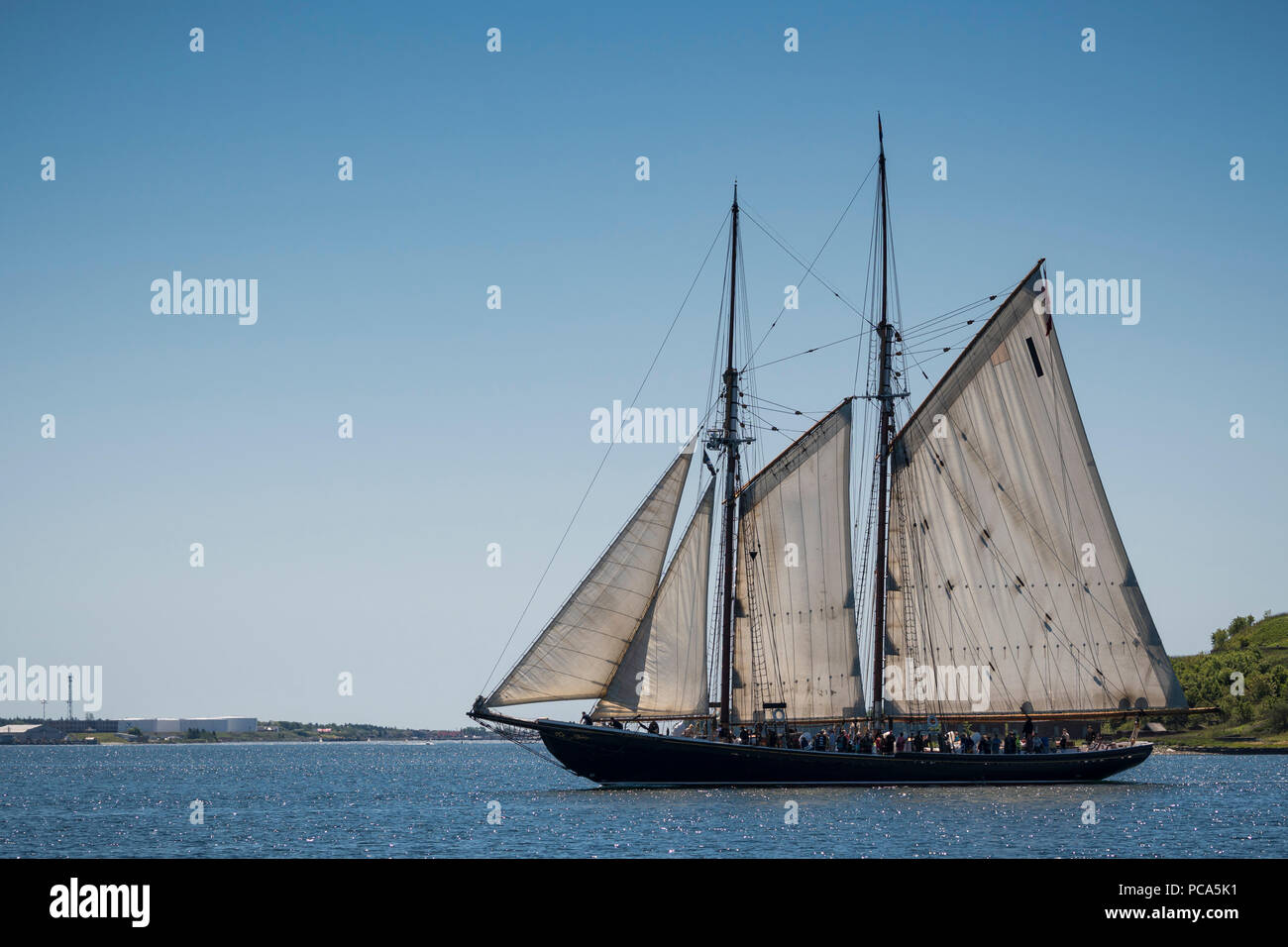 Schooner Bluenose