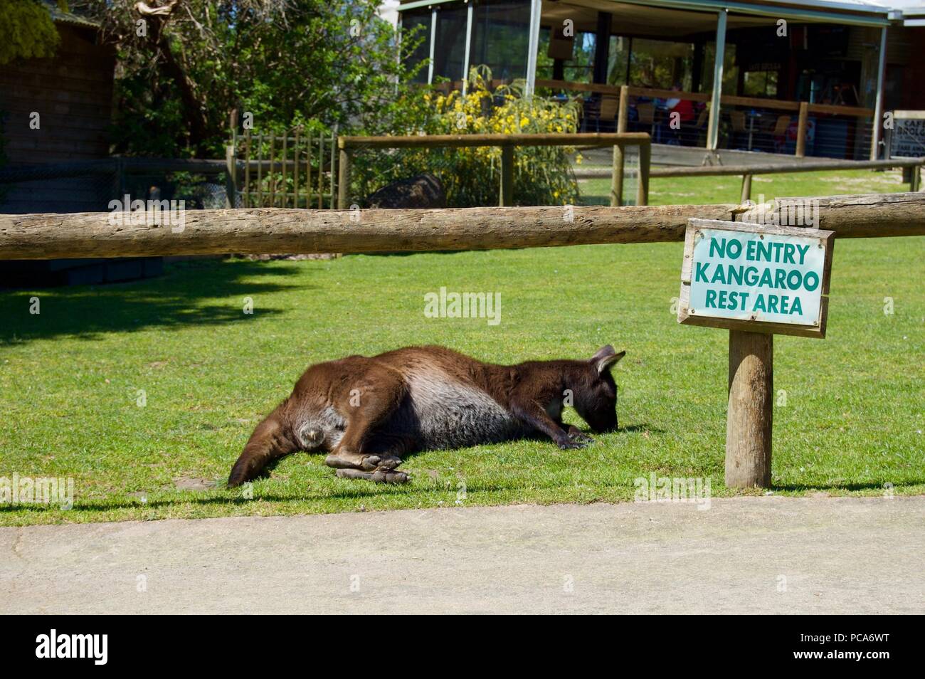 Sign no entry australia hi-res stock photography and images - Alamy