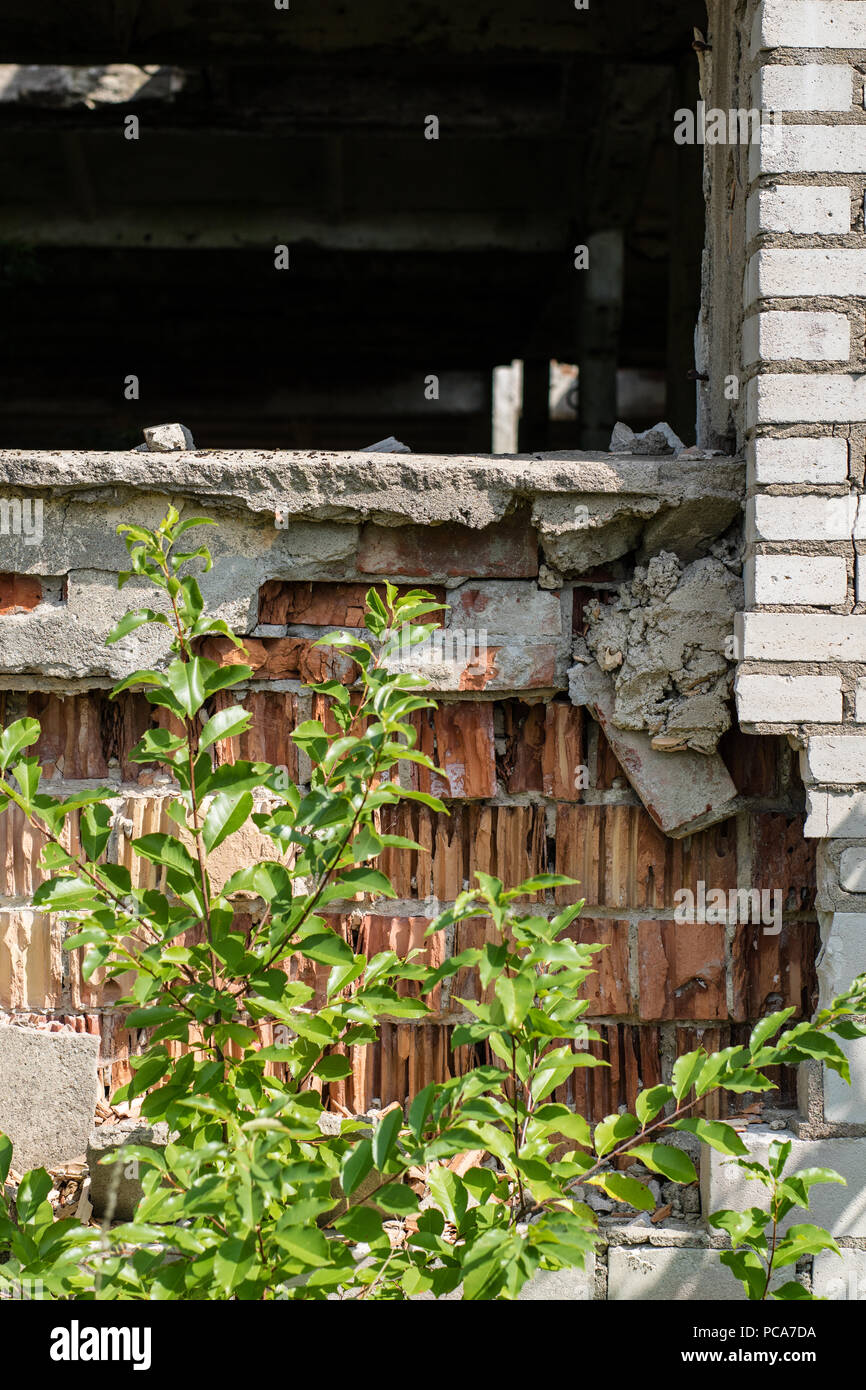 Destroyed state farm in Central Europe. Ruins of farm buildings. Season ...