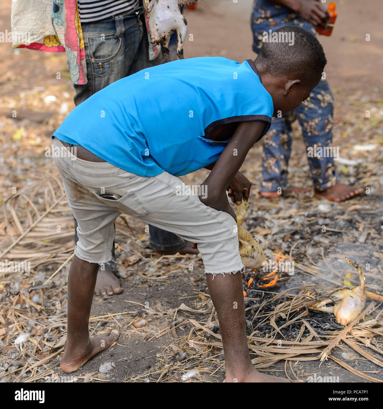 Chicken sacrifice voodoo hi-res stock photography and images - Alamy
