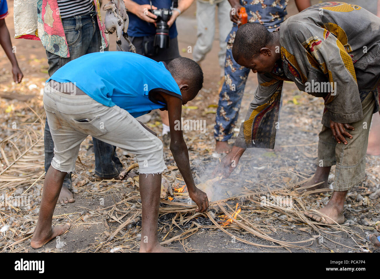Chicken sacrifice voodoo hi-res stock photography and images - Alamy