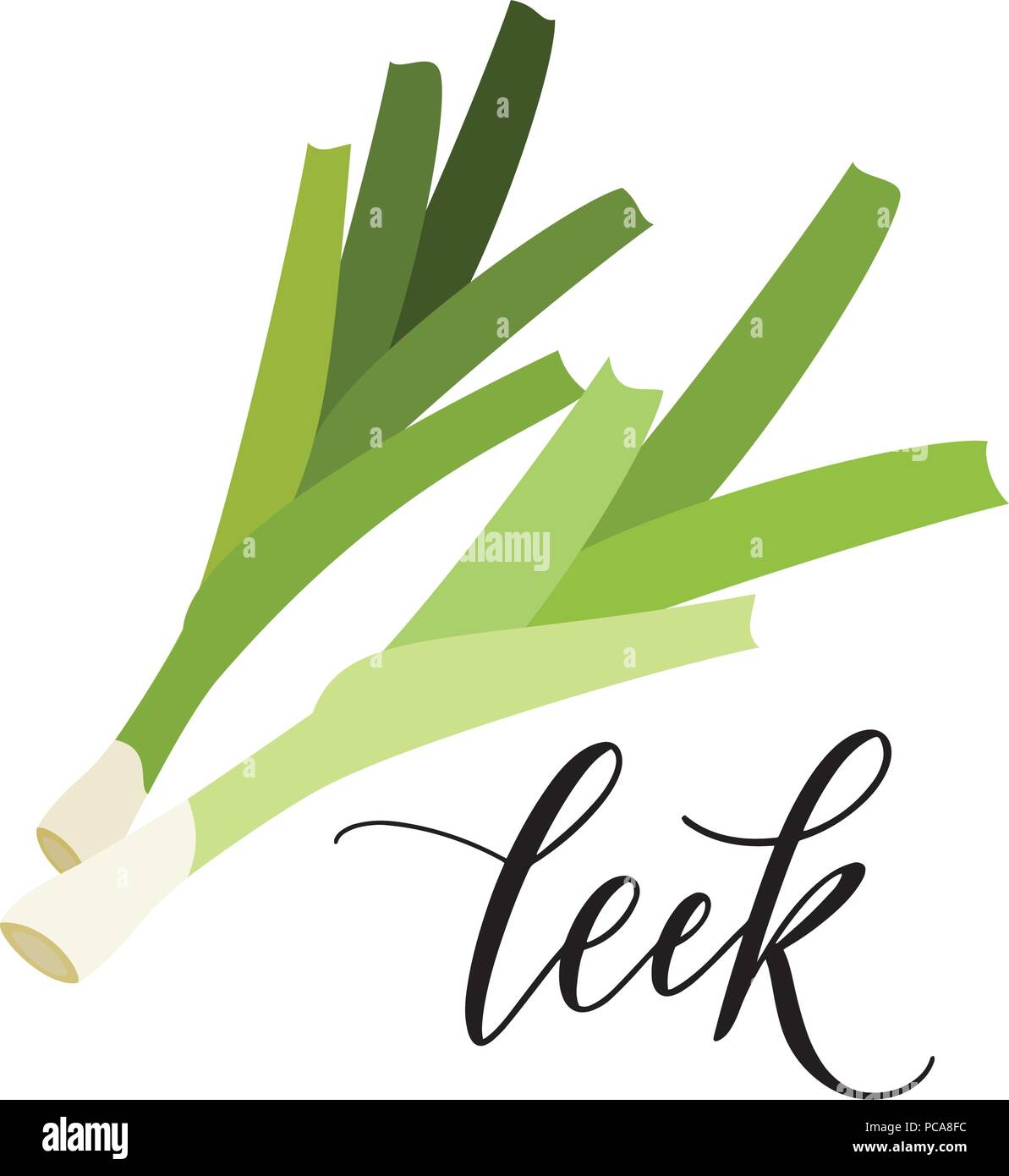 Leek in flat style. Hand written text. Vector Stock Vector Image & Art ...