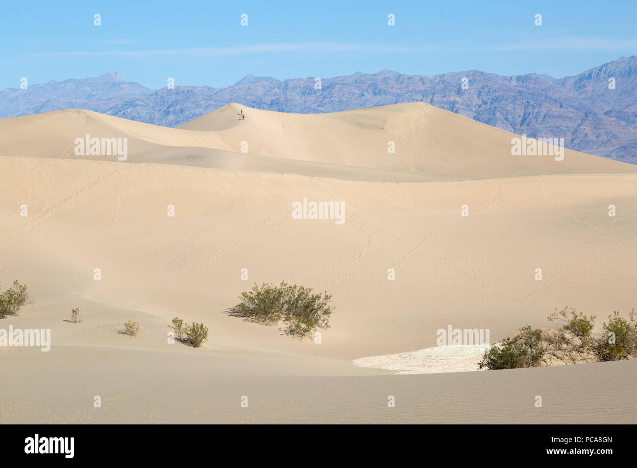 Sand dune complex hi-res stock photography and images - Alamy