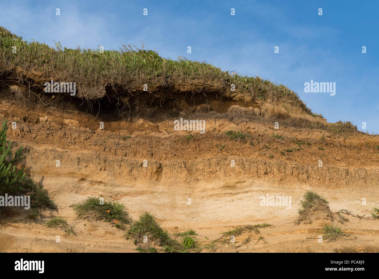 Close up of Kanto loam layer at Byobugaura,Choshi Marina beach,Choshi ...