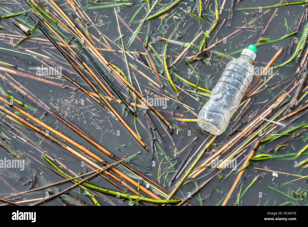 Plastic bottle, garbage floating in stagnant water of the lake ...