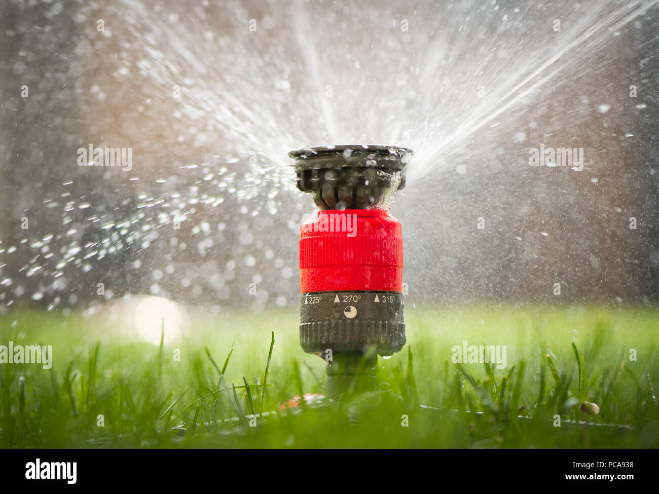 Sprinkler Head Spraying Water High Resolution Stock Photography and ...