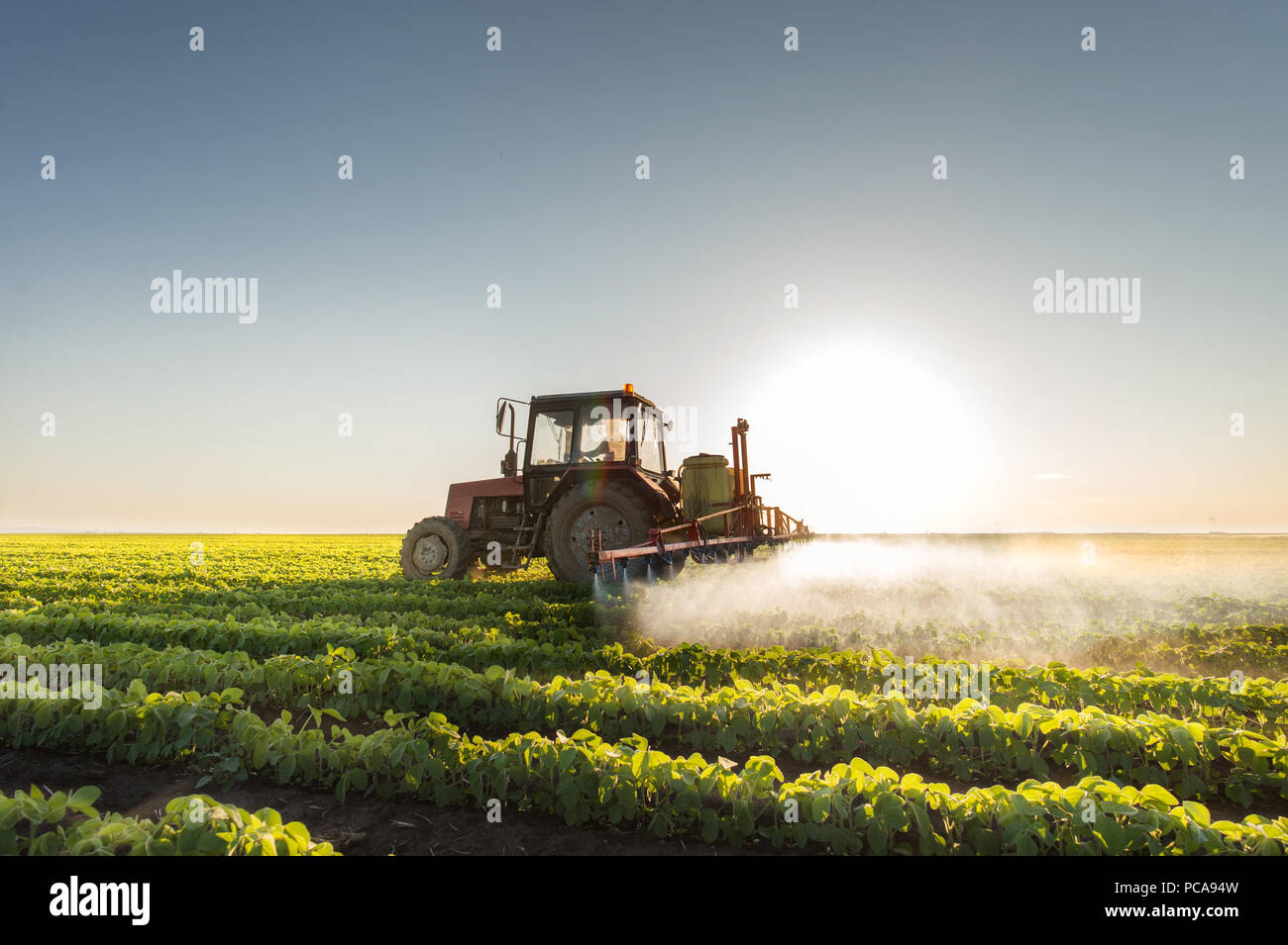 Tractor spraying soybean field at spring Stock Photo - Alamy