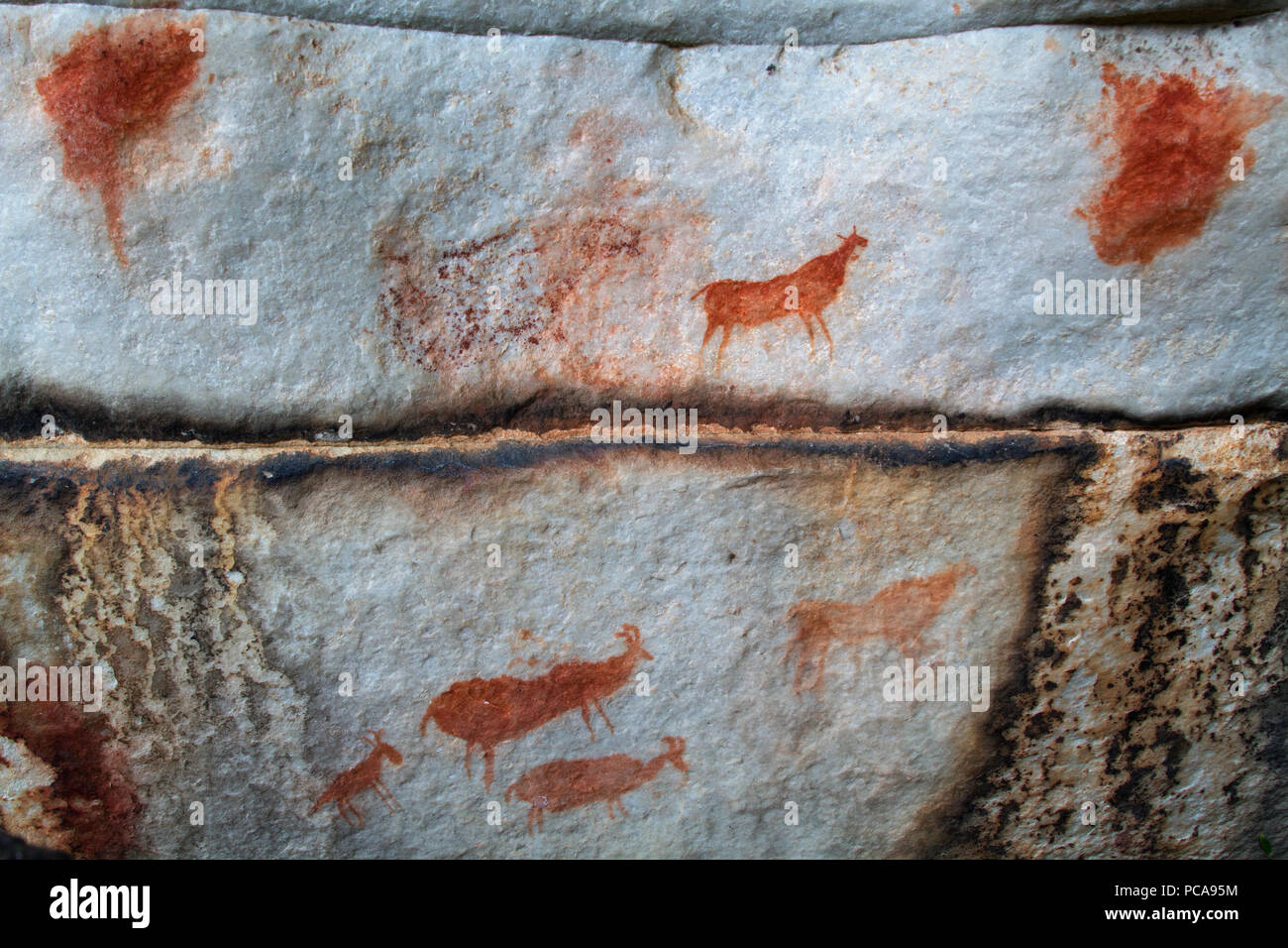 Bushmen rock paintings Stock Photo - Alamy