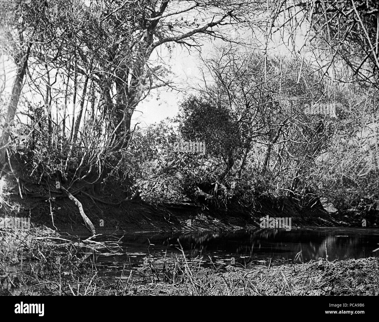 Fly travel Black and White Stock Photos & Images - Alamy