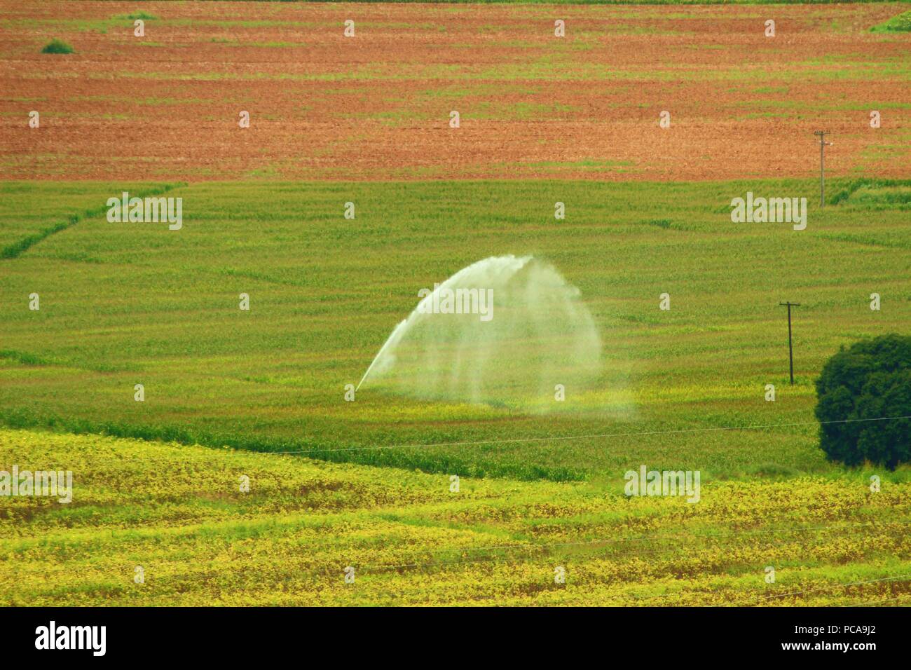 Green fields with crops and the watering system Stock Photo - Alamy