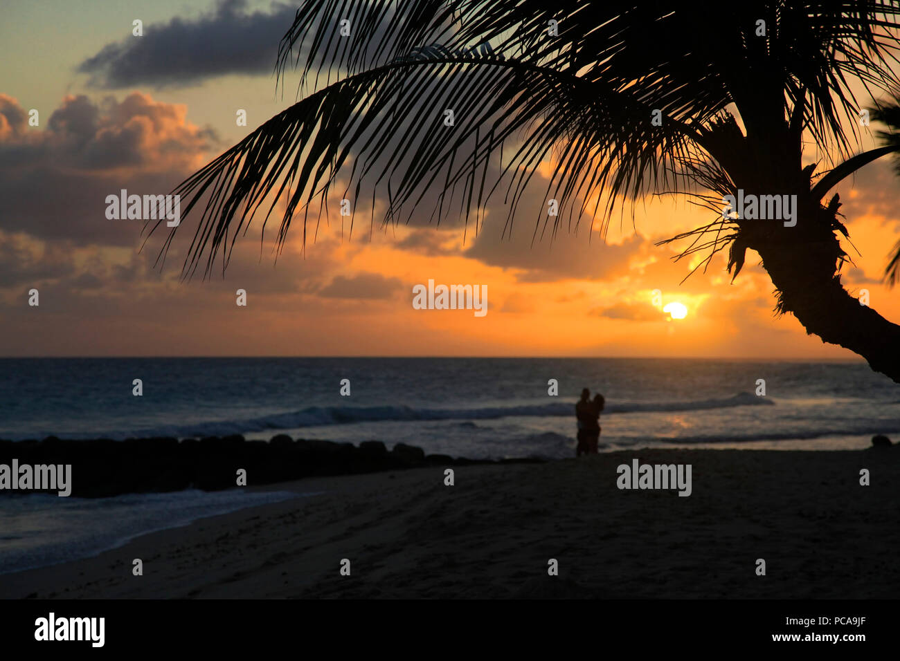 Romantic couple at beach with sunset in the background at Barbados ...