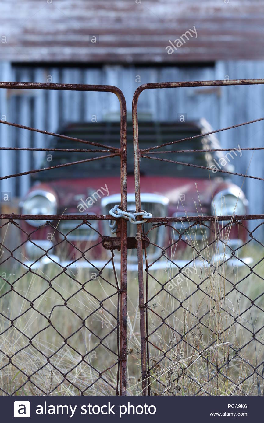 Grass growing around an old car hi-res stock photography and images - Alamy