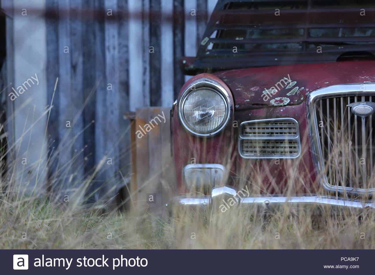 Grass growing around an old car hi-res stock photography and images - Alamy